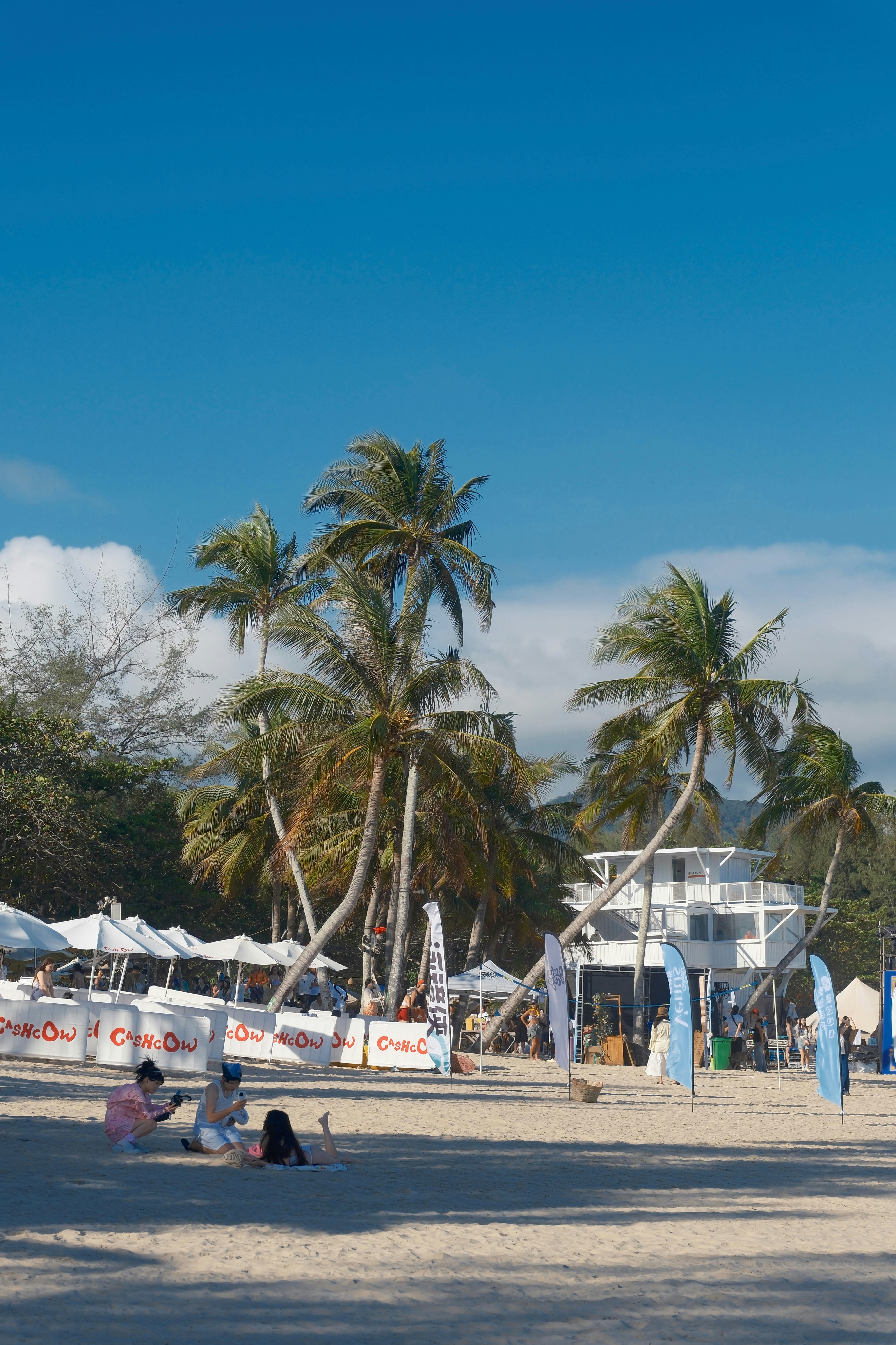 Palm Shade by the Shore: Beachgoers Under a Line of Treetops