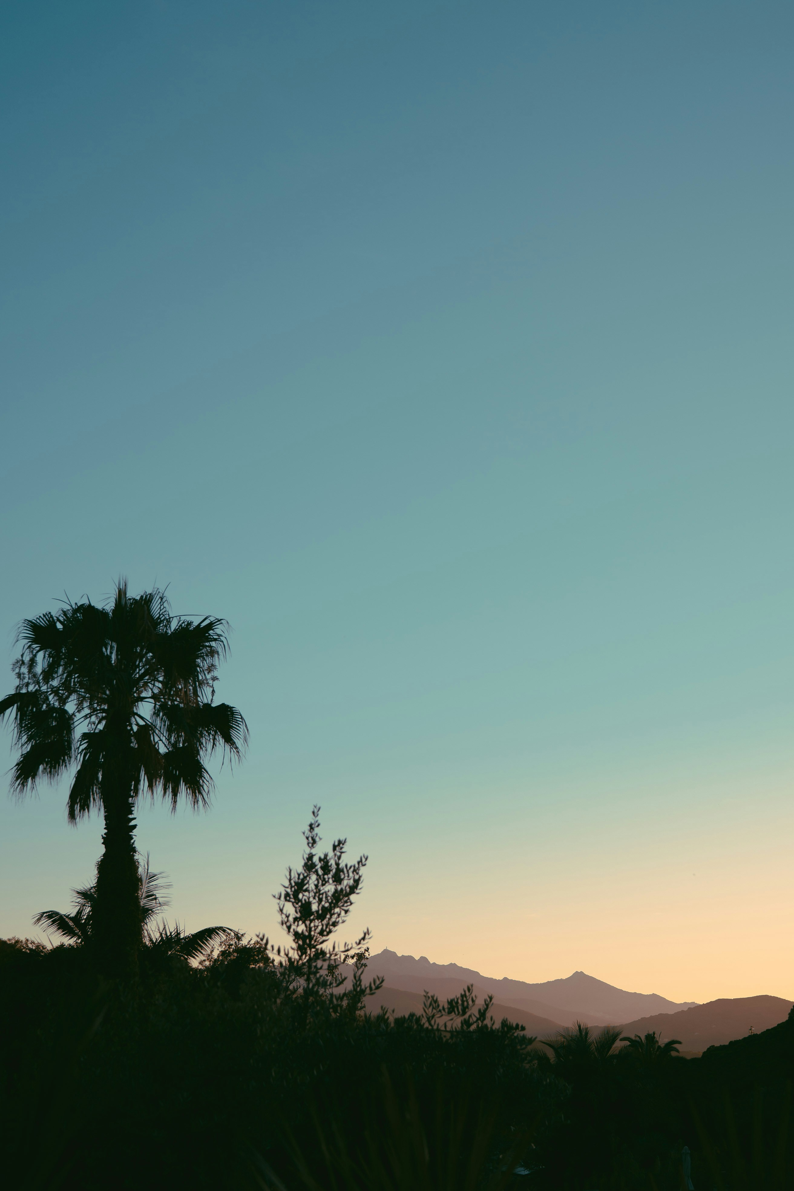 Dusk Silhouettes Over Quiet Desert Hills