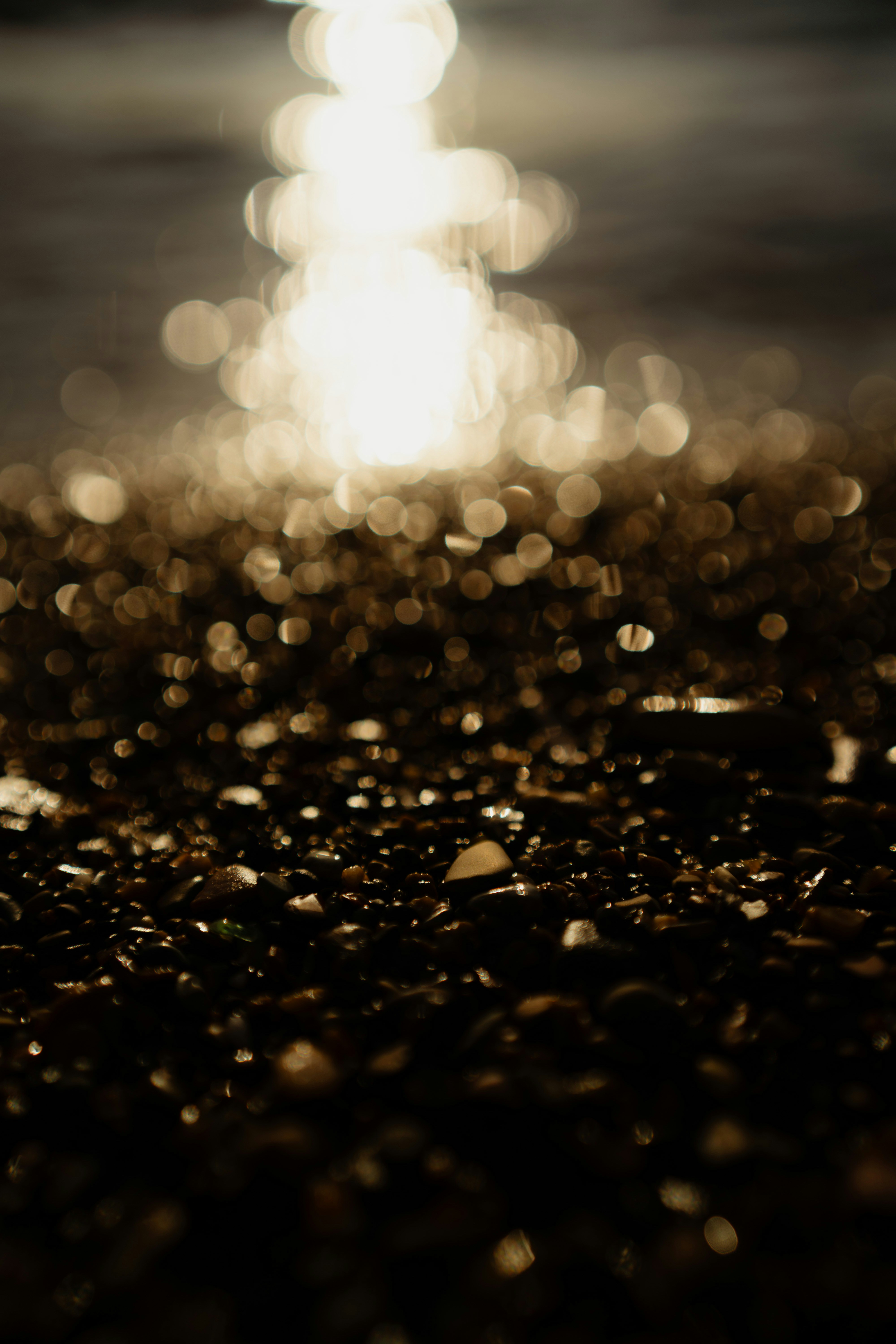 Glittering Shoreline in Soft Evening Bokeh