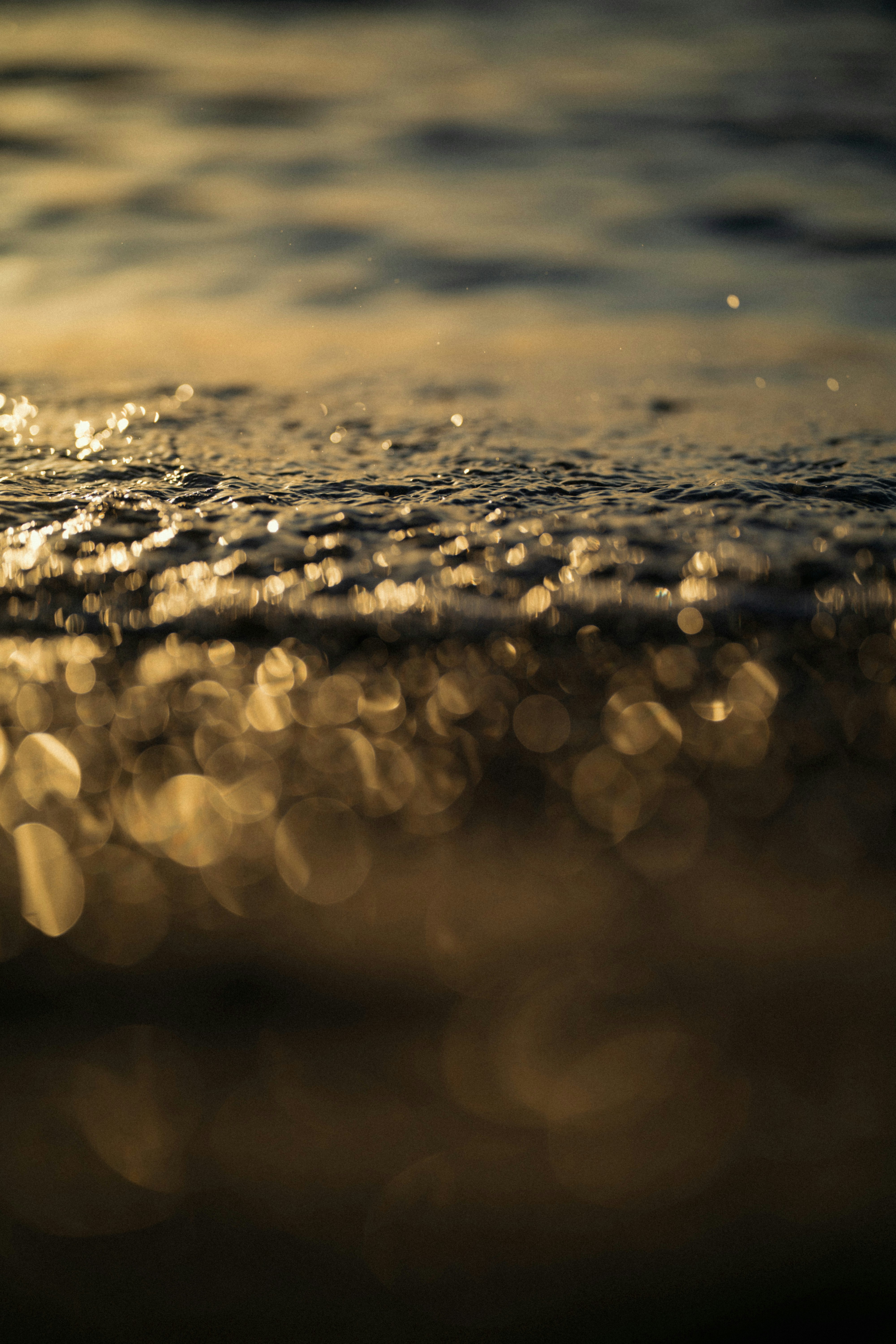 Golden Ripples: A Sunlit Shore in Soft Focus