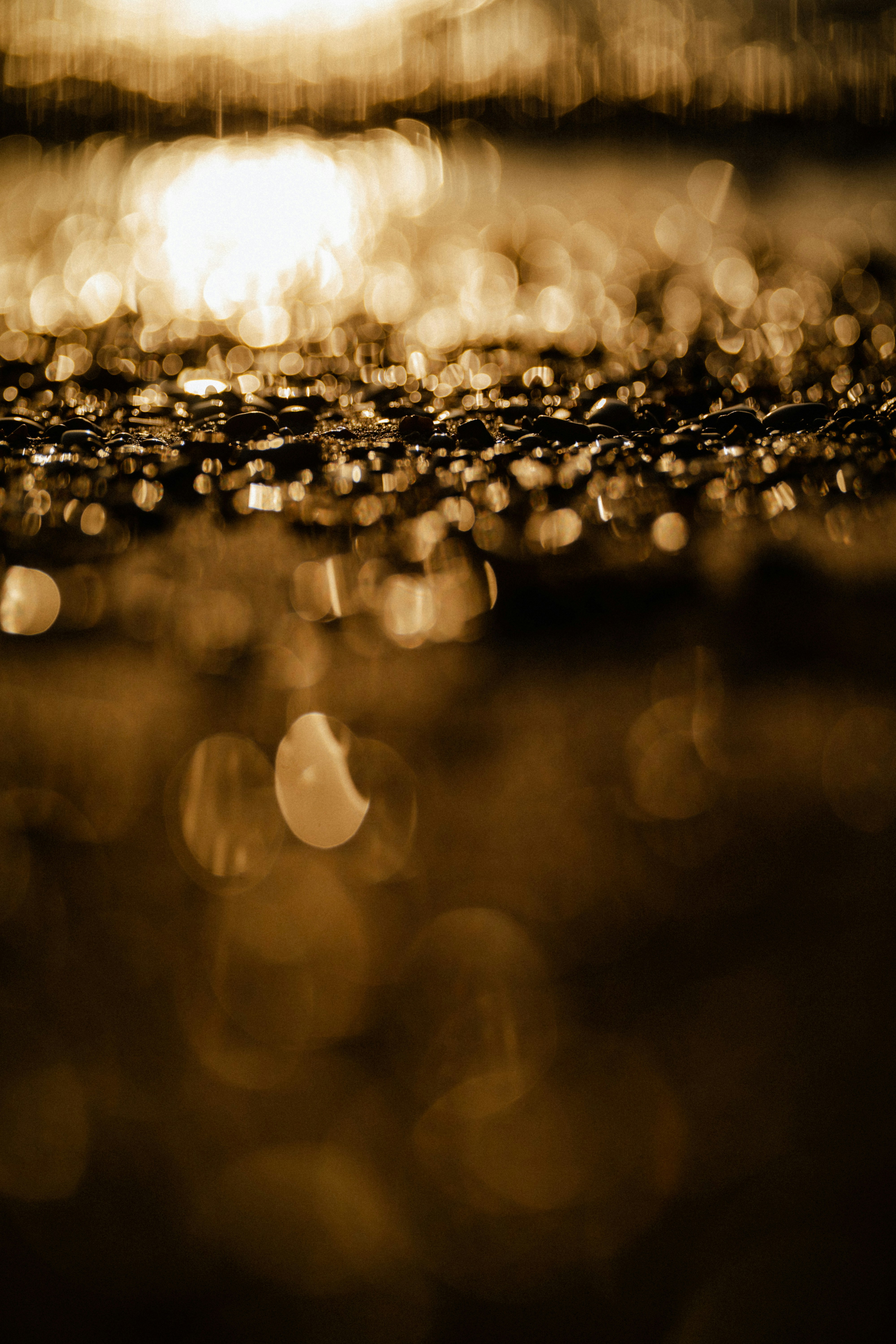 Golden Bokeh on a Quiet Shoreline