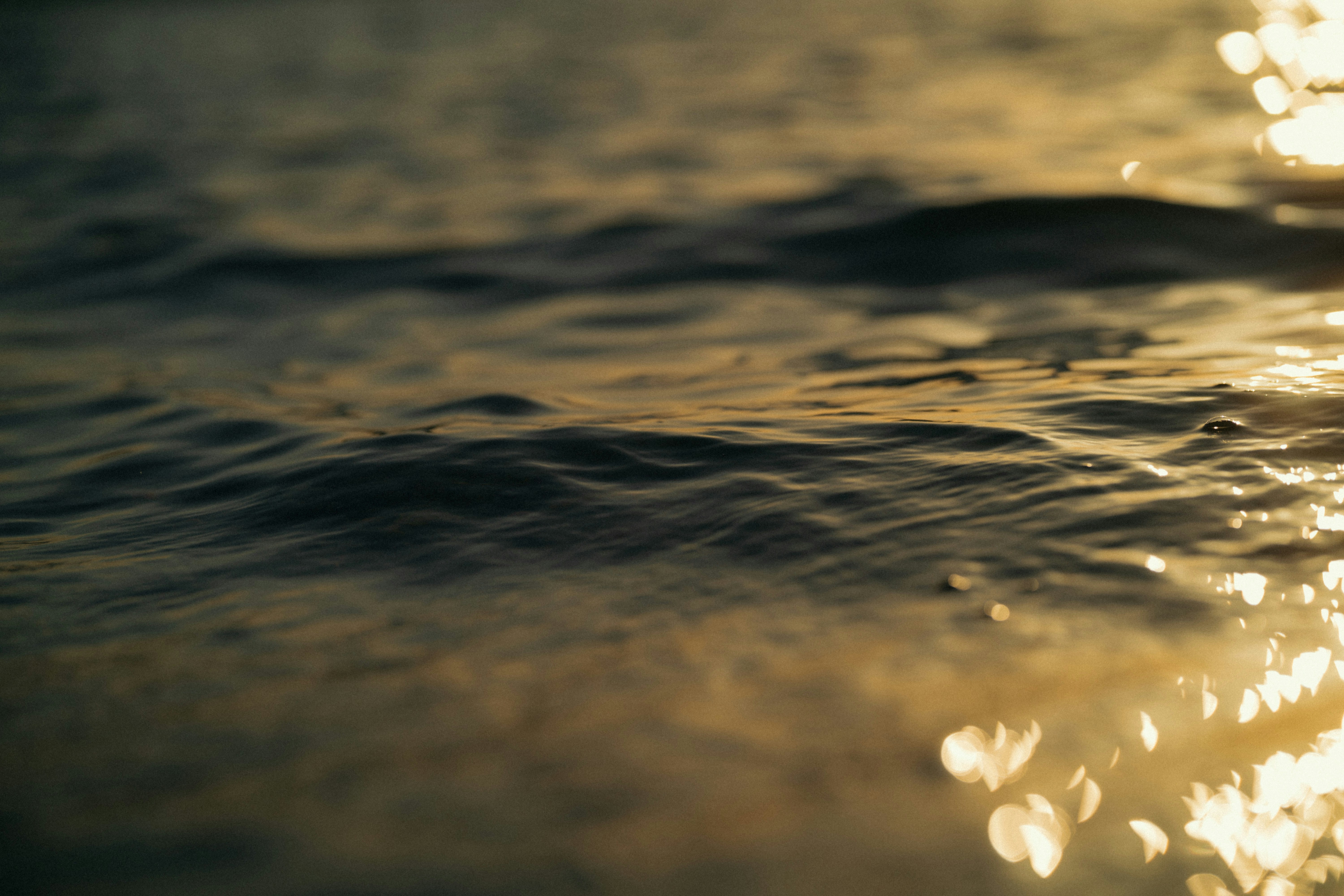 Golden Ripples at Dusk