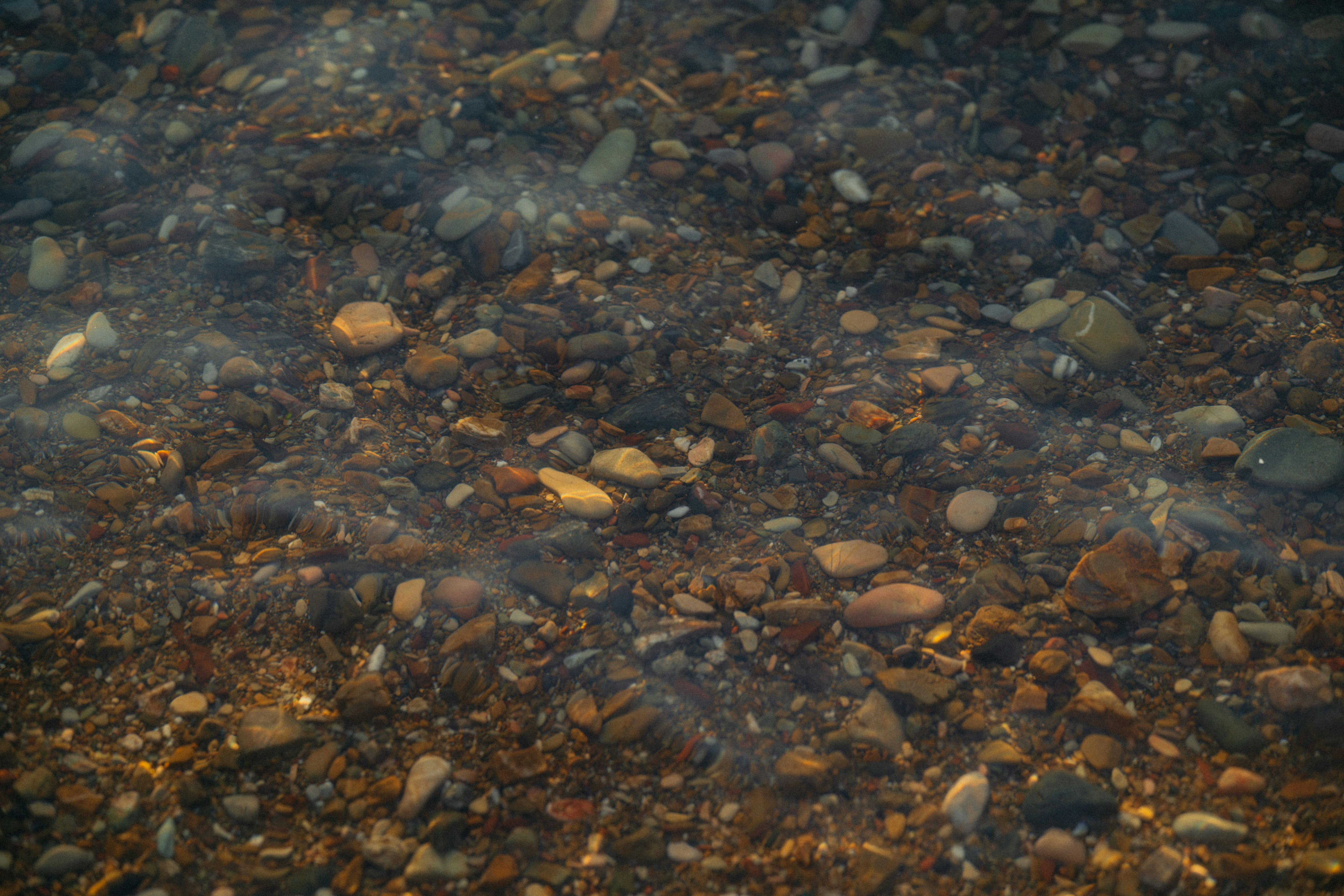 Submerged Pebble Mosaic Under Quiet Water
