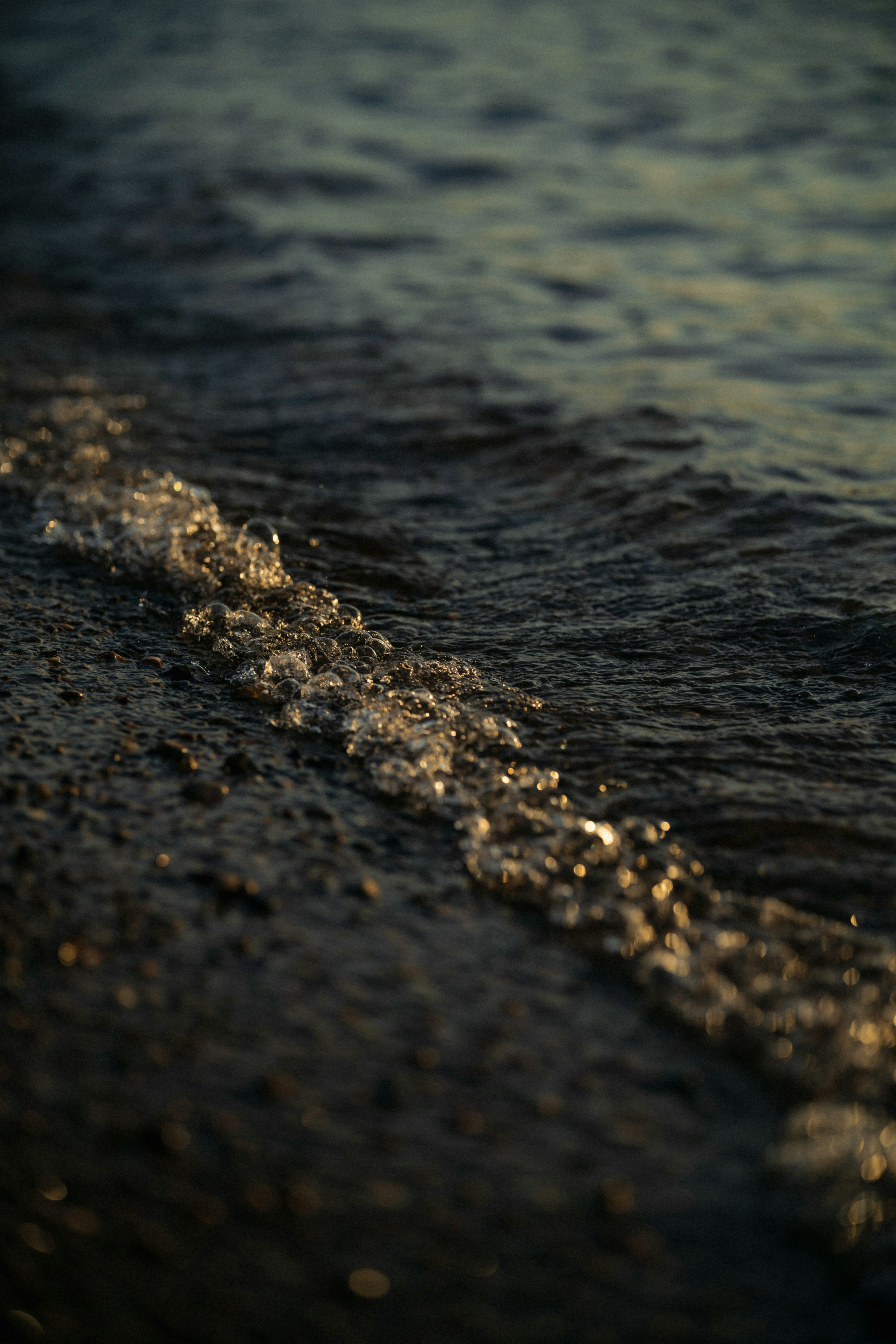 Golden Crest on Quiet Tide