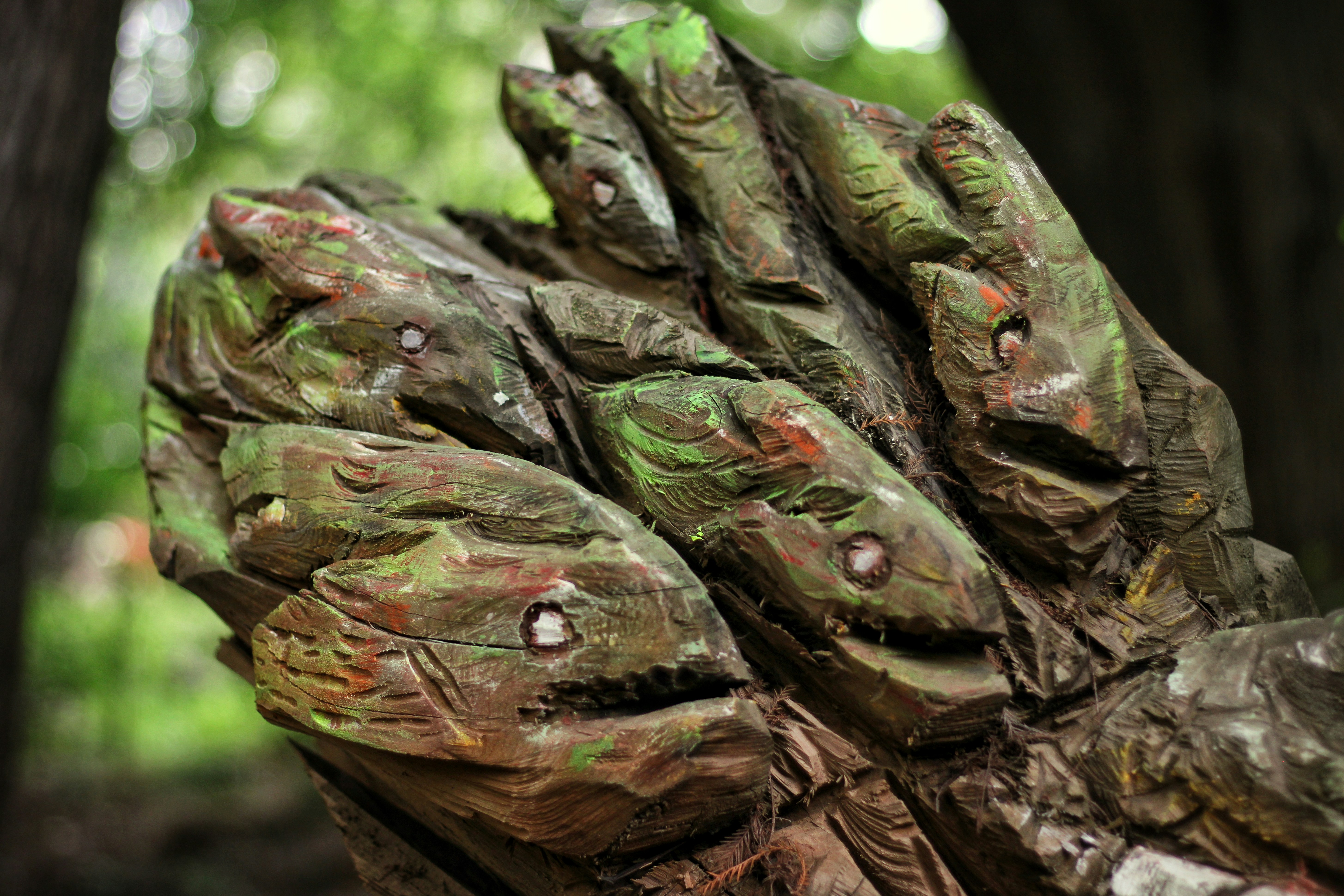 Emerald-Rusted Bark: A Close-Up of Mossy Tree Carving in the Rainforest