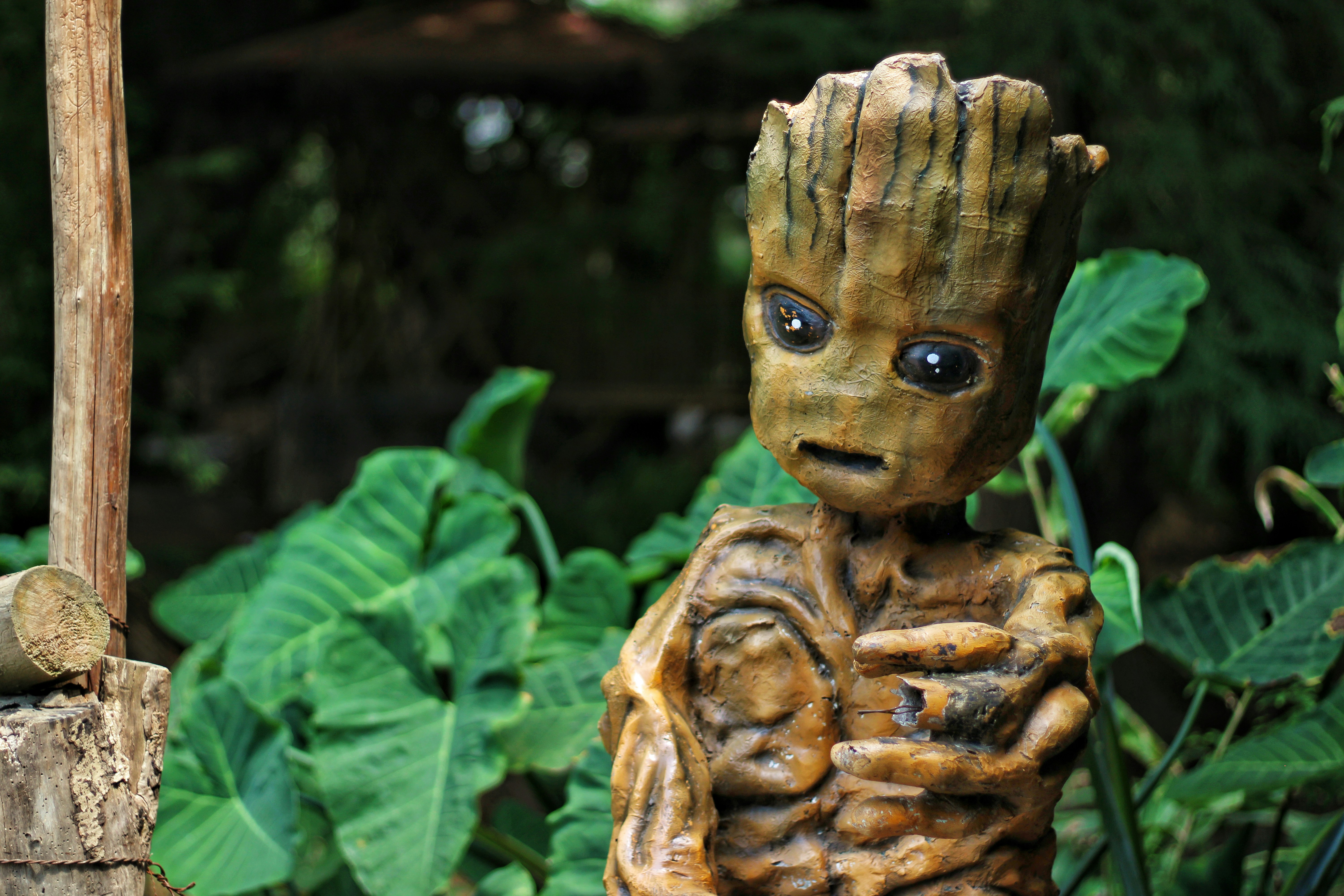A wooden baby groot figure stands amidst green foliage.