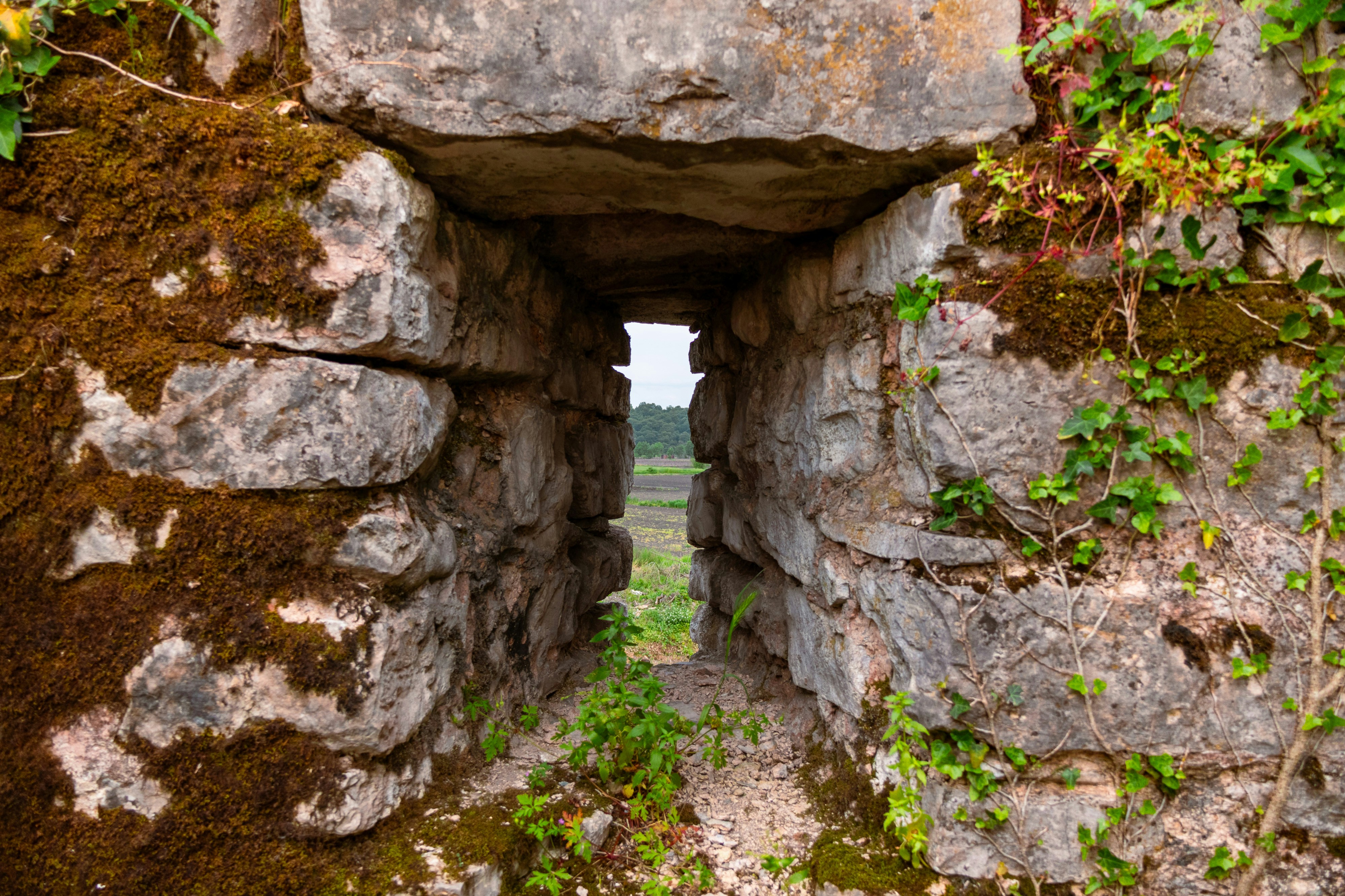 Verdant Archway: A Mossy Stone Passage Framing Distant Fields