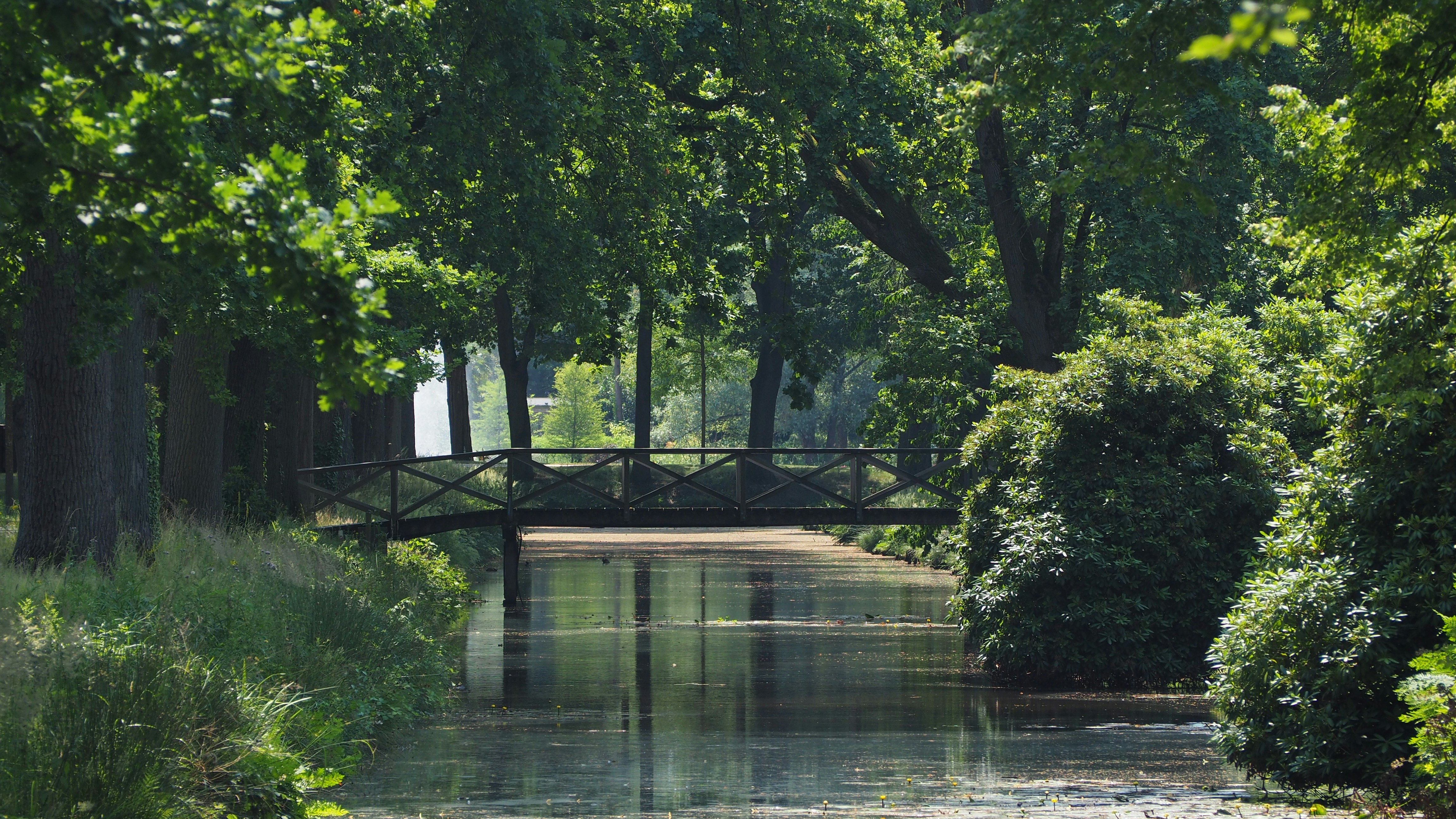 Bridge Over Quiet Canal: Dappled Light Through the Green Canopy