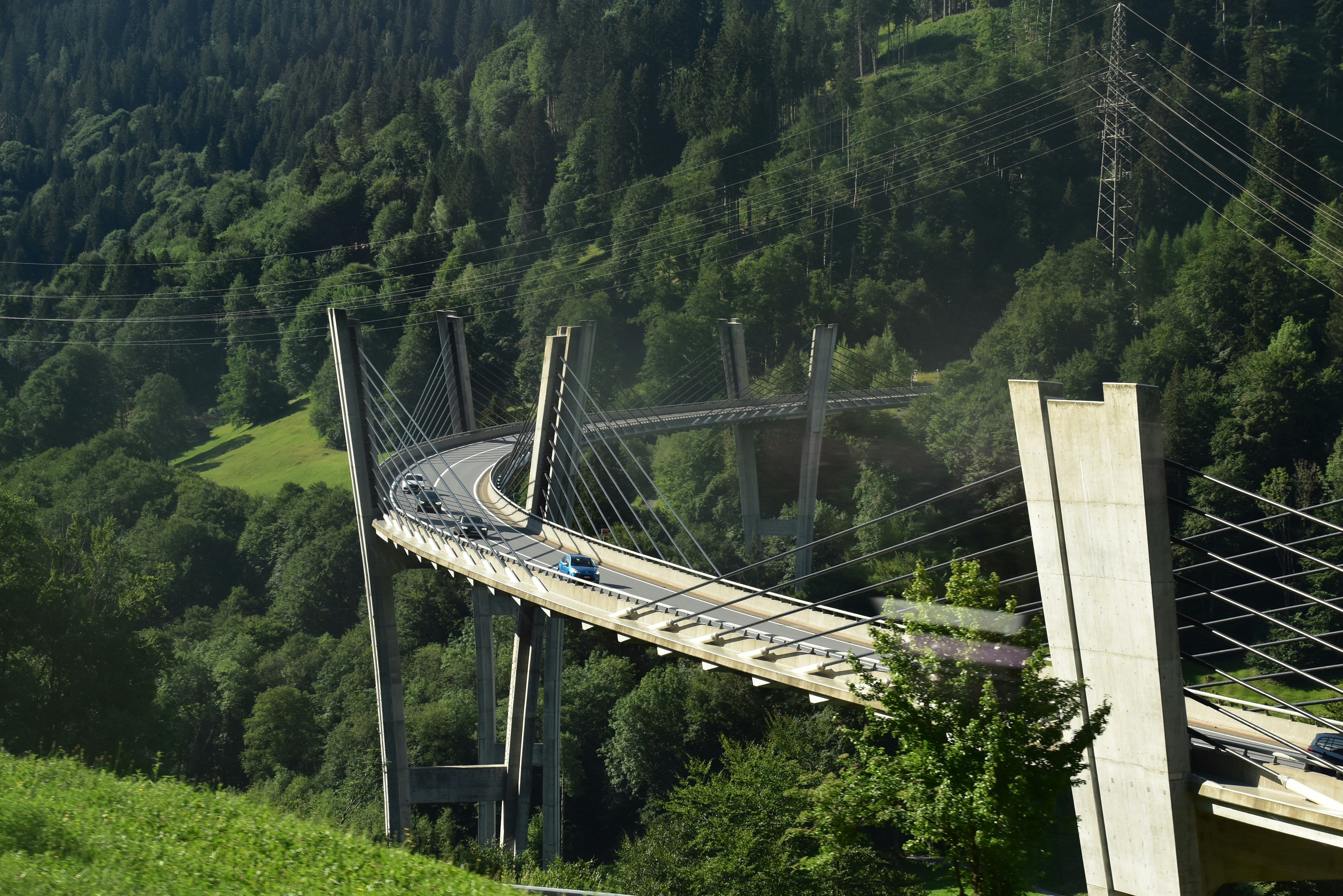 Suspended Arc: A Curving Highway Beams Through Alpine Pines