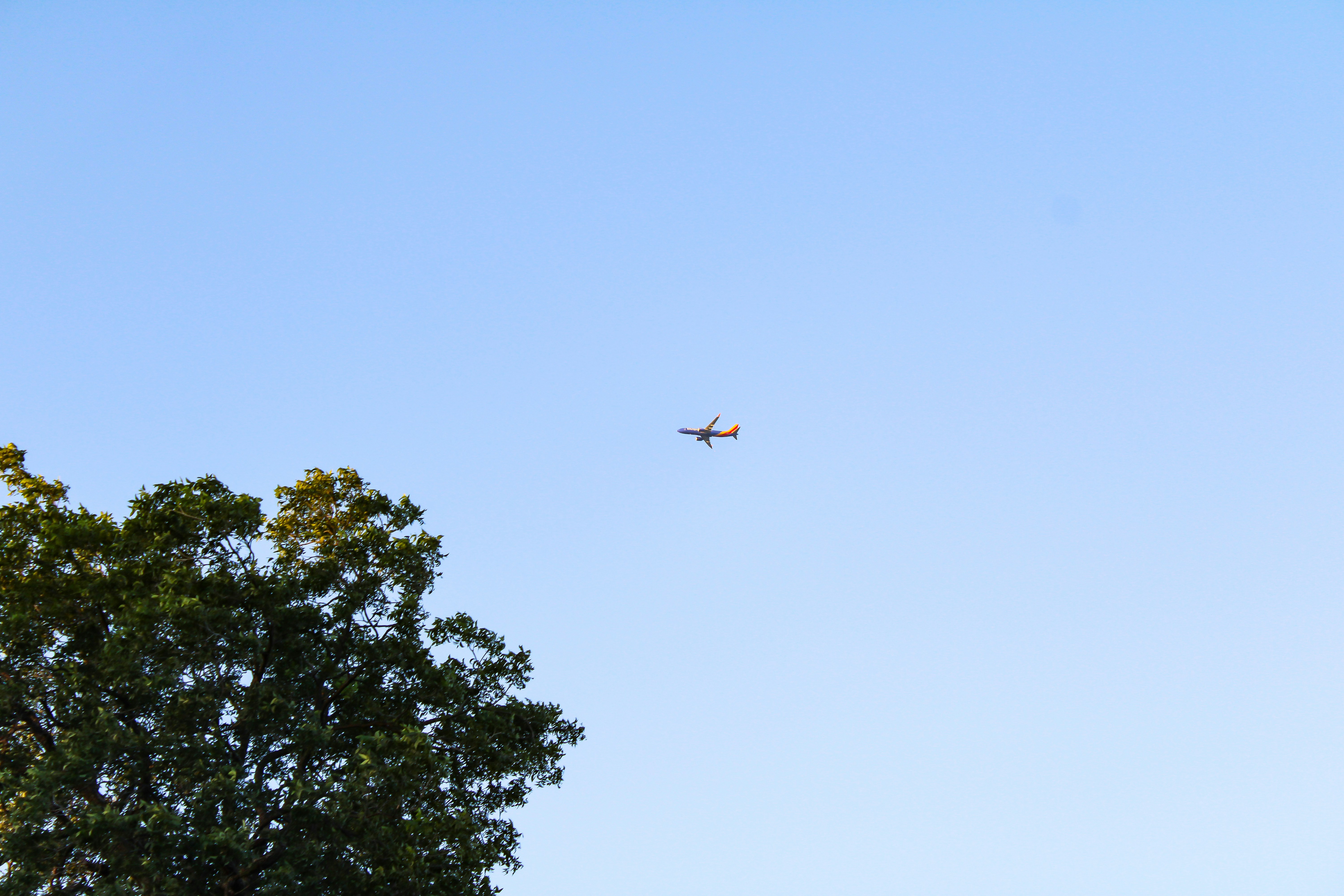 Skyward Veil: A Lone Plane None the Less