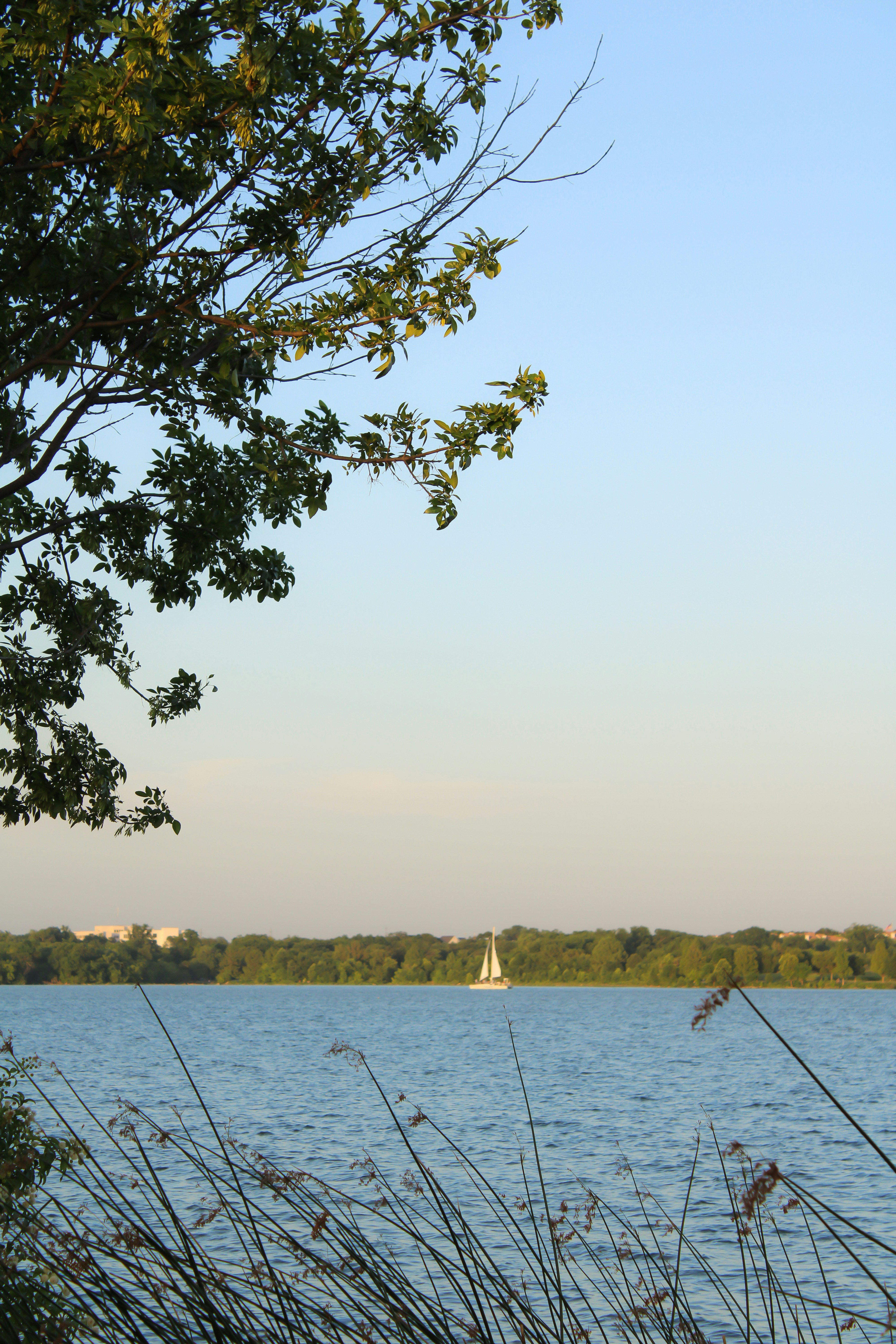 Quiet Horizon: A Sailboat Across the Calm Lake