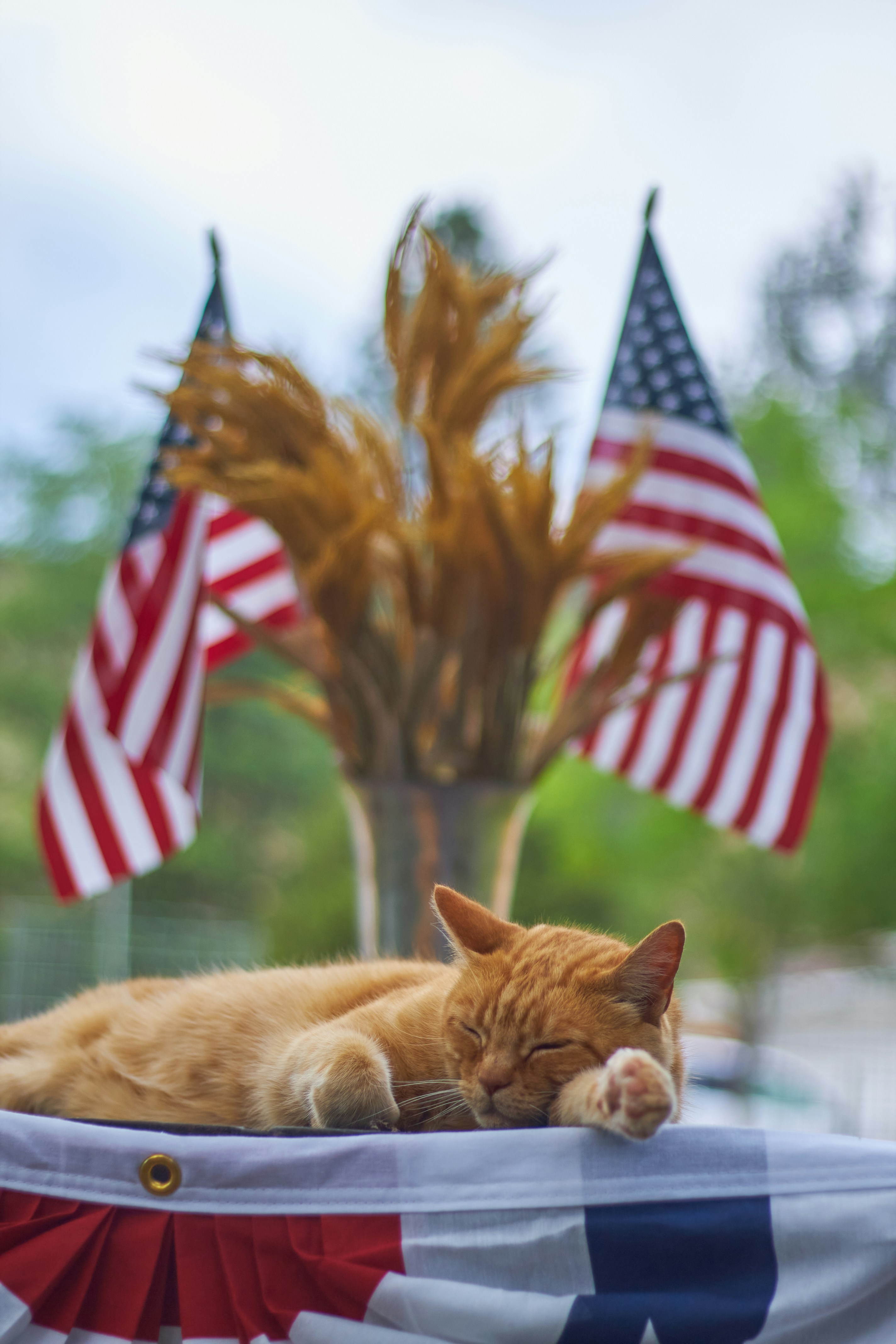 Sunlit Nap Under a Flagged Breeze
