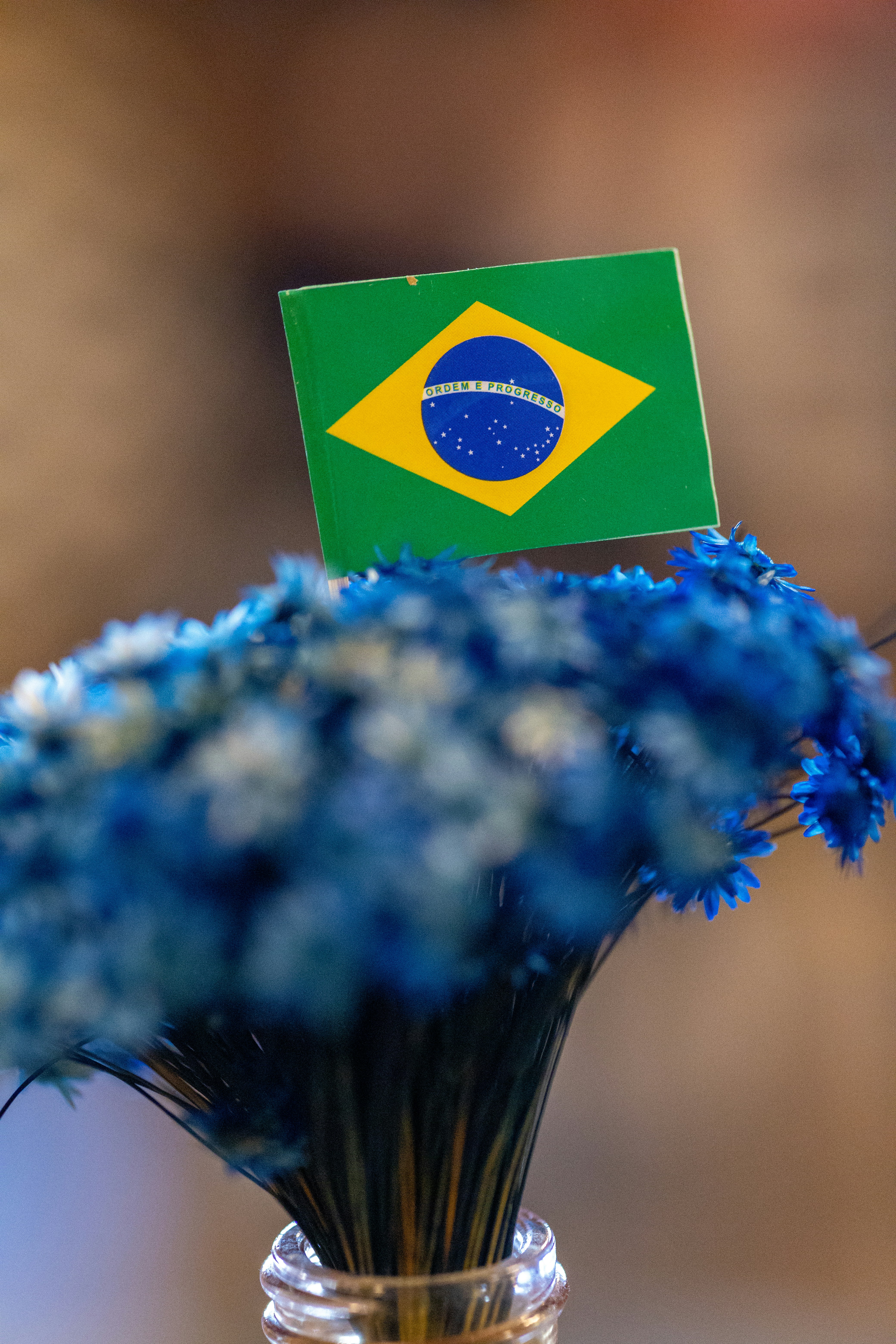 Flag in Bloom: A Brazil Flag Crowned by Electric Blue Florals