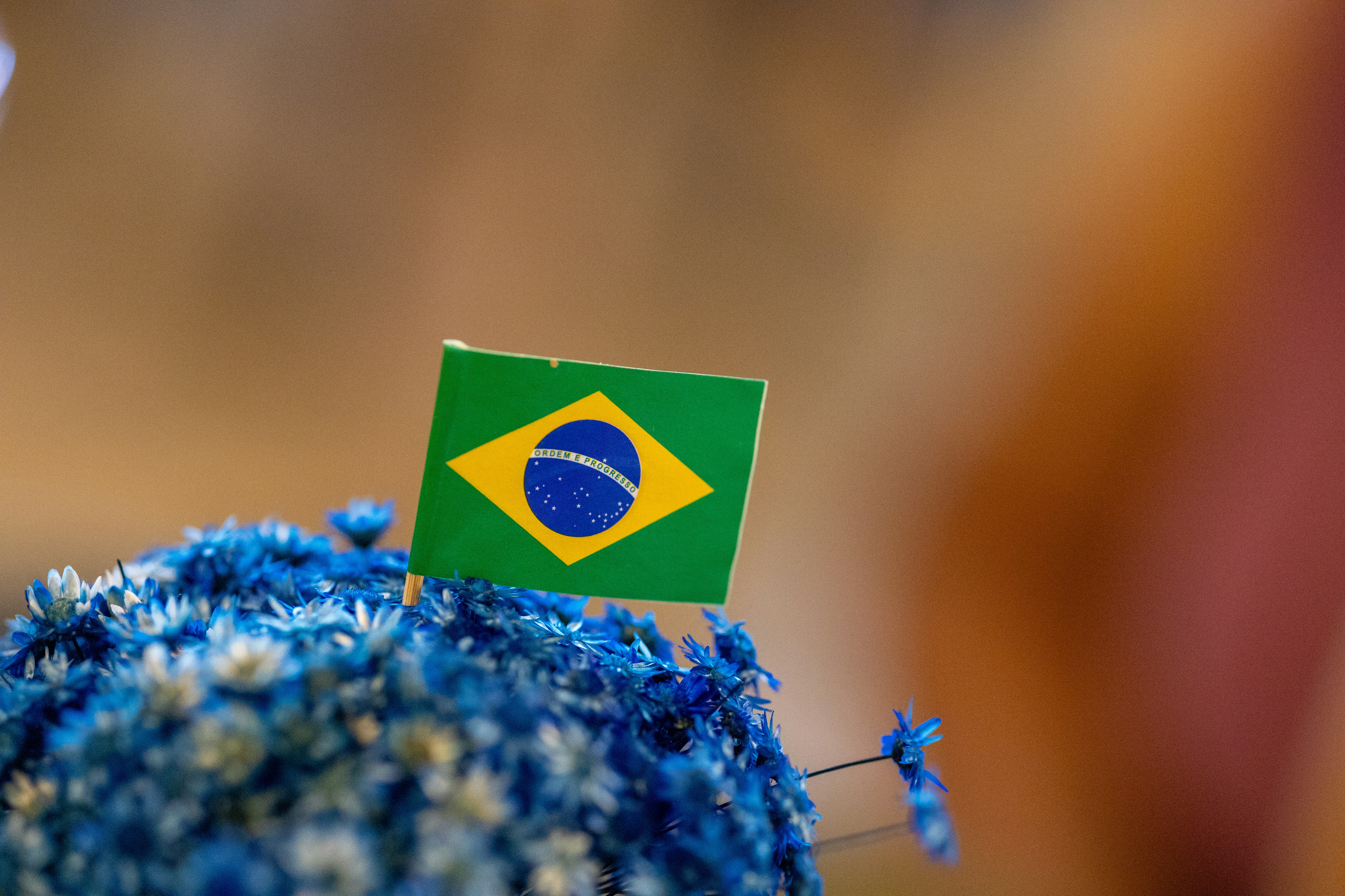 Flag on blue blooms: a tiny Brazilian emblem amid vivid petals