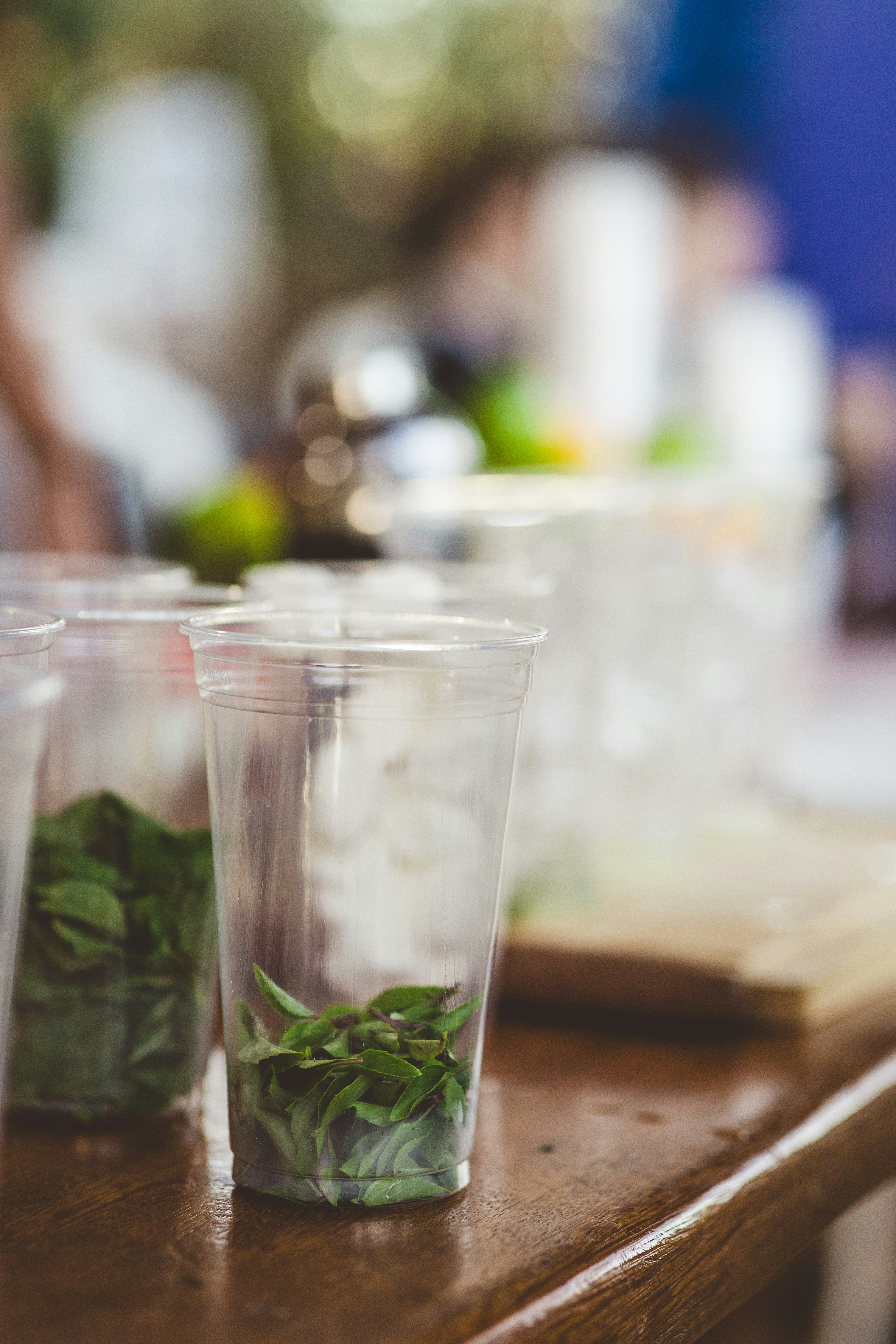 Minty Focus: A Row of Herb Cups on a Wooden Bar