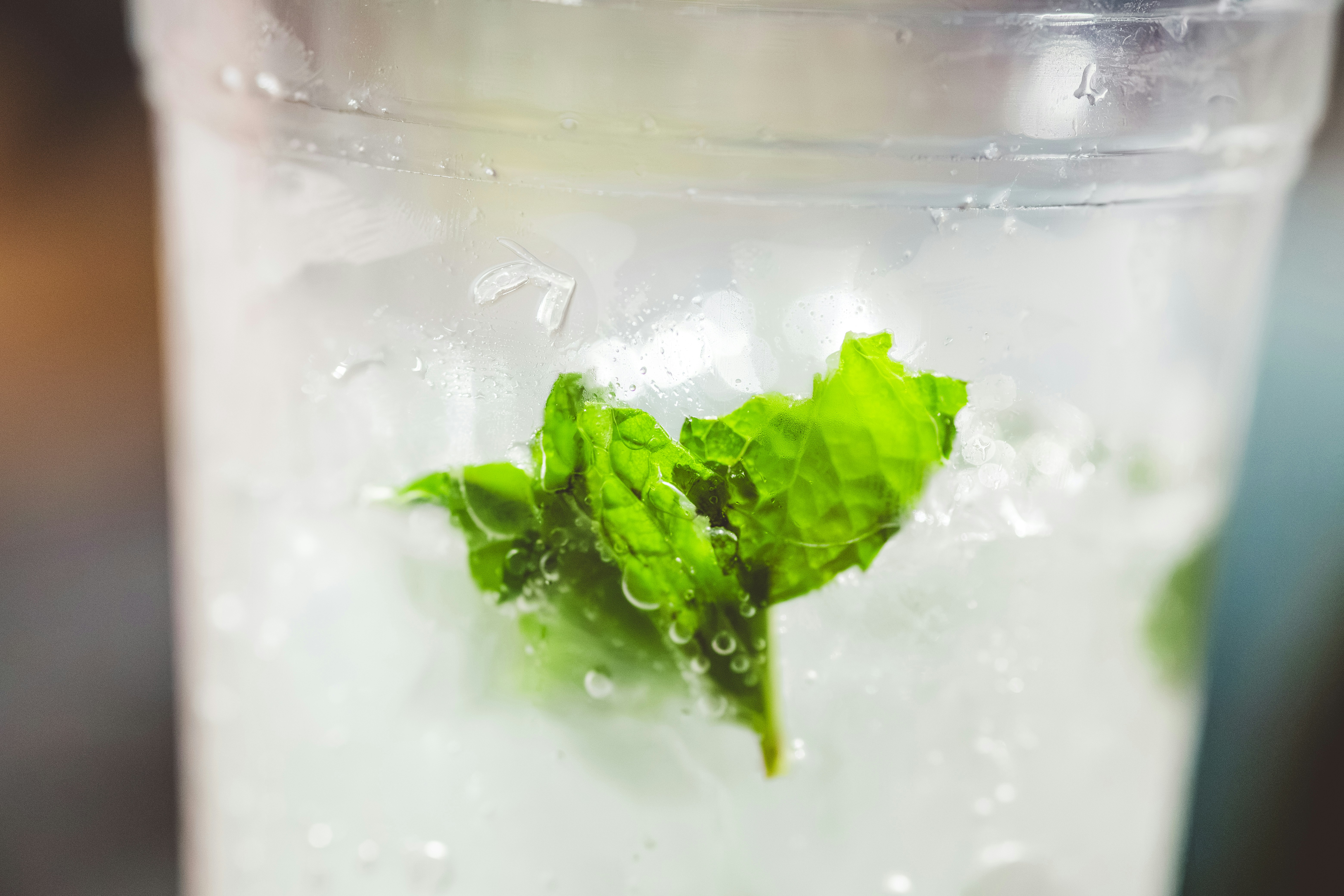 Minty mist: a fresh leaf afloat in chilled glass