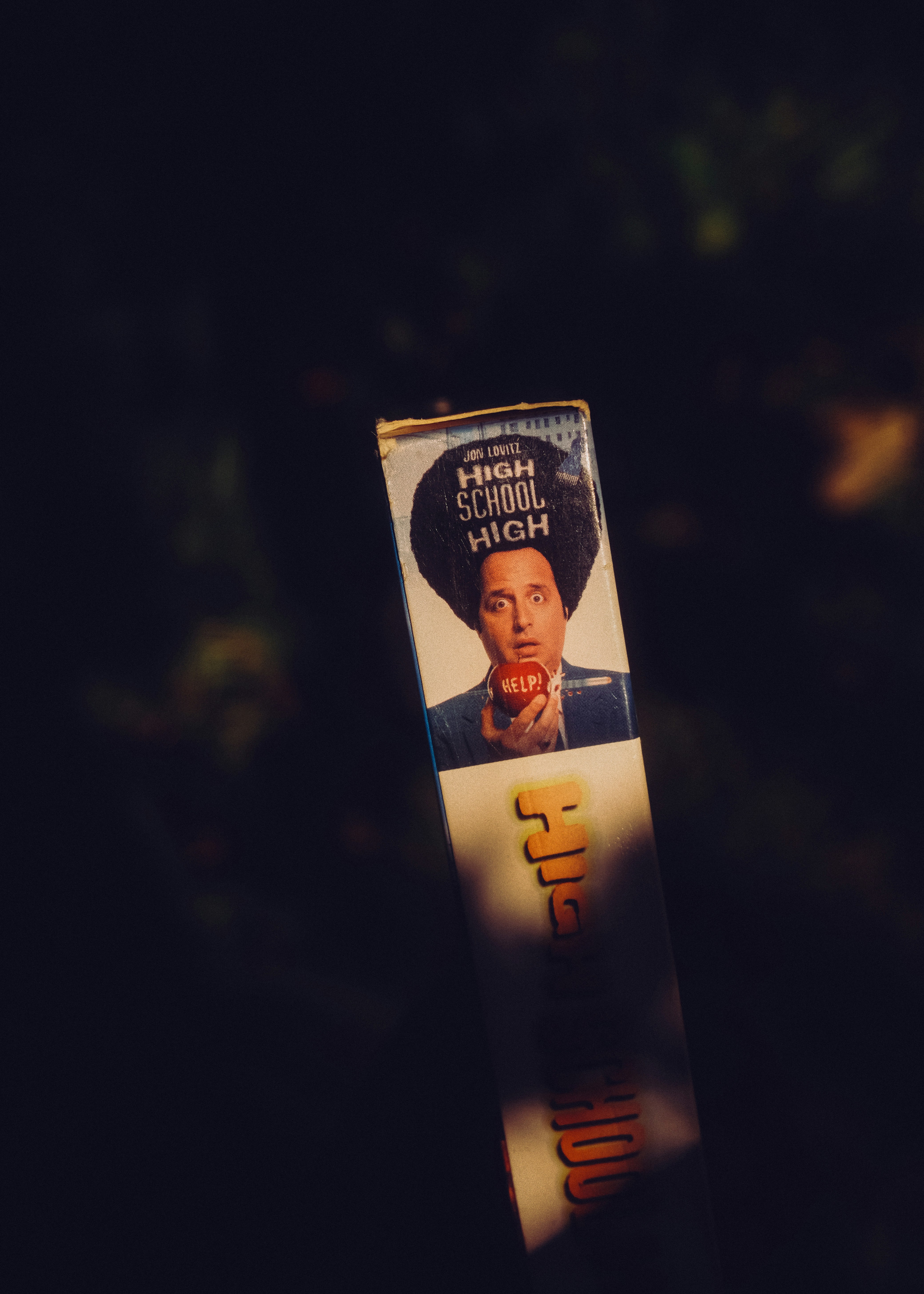 High School High Signpost: A Portrait in Dim Light