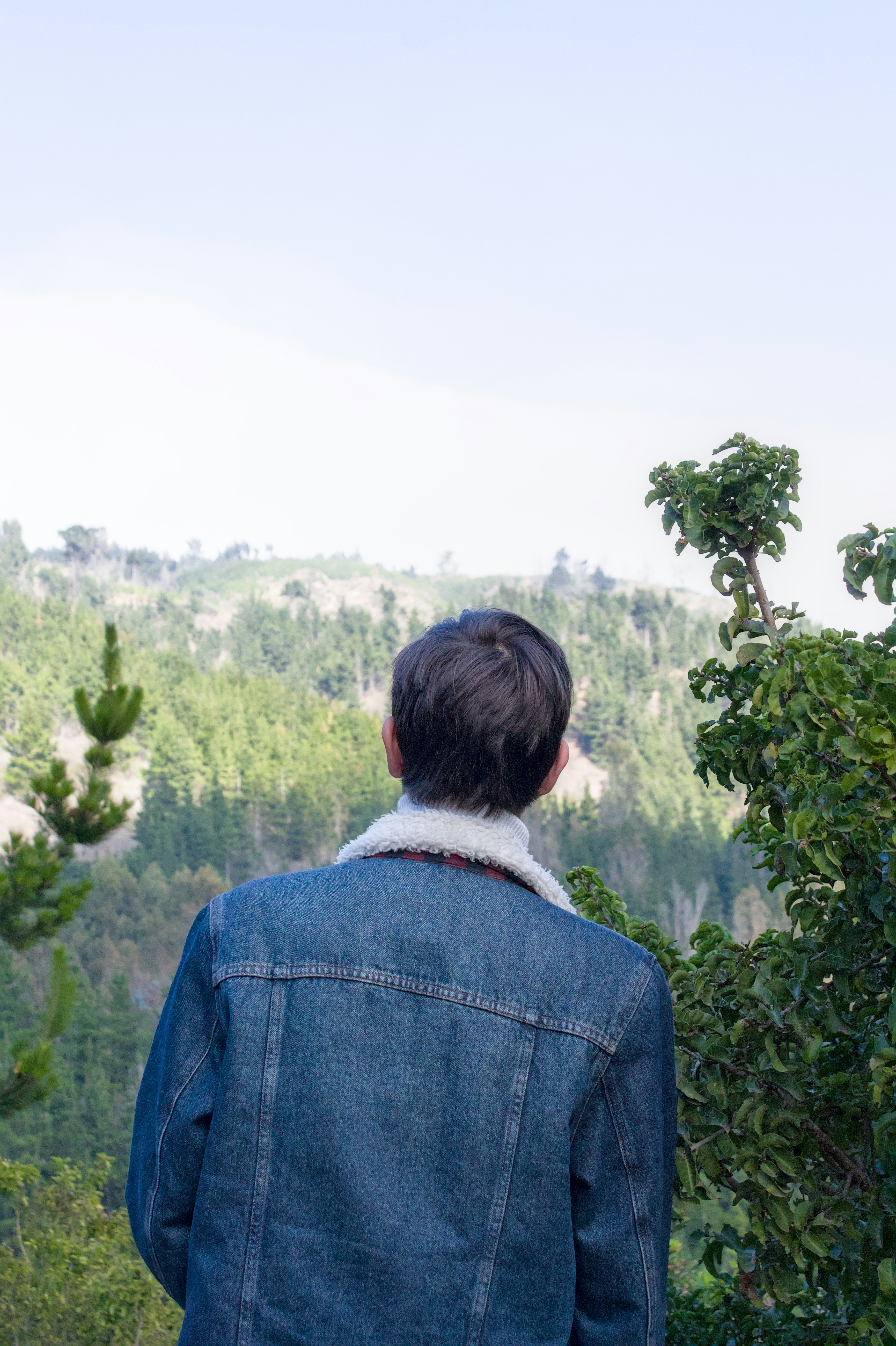 Back to the Horizon: A Quiet Turn Toward the Valley