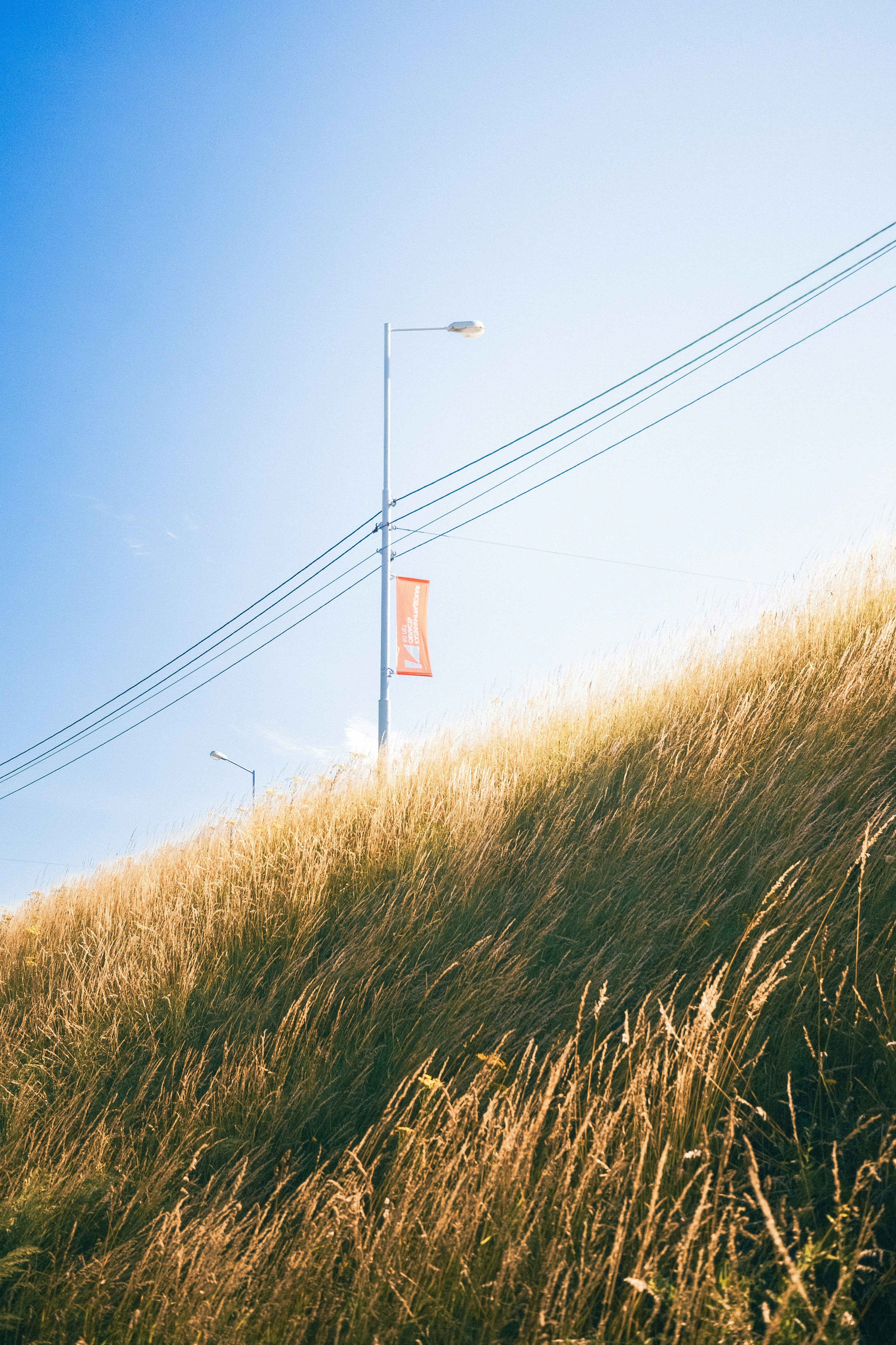 Sunlit Ridge: Wheat, Sky, and a Quiet Lantern
