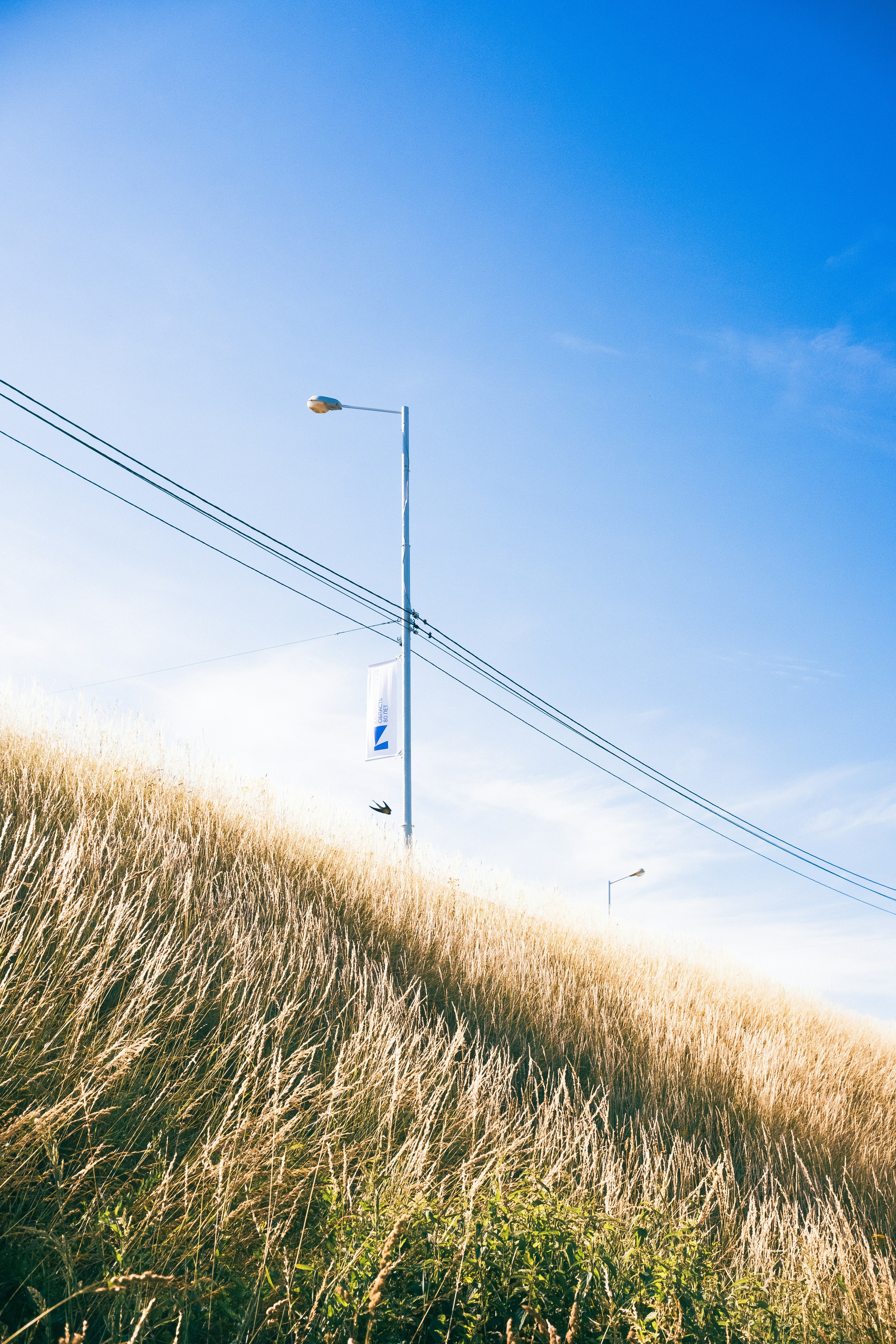 Sloped Grass-and-Utility Line Under a Clear Blue Sky