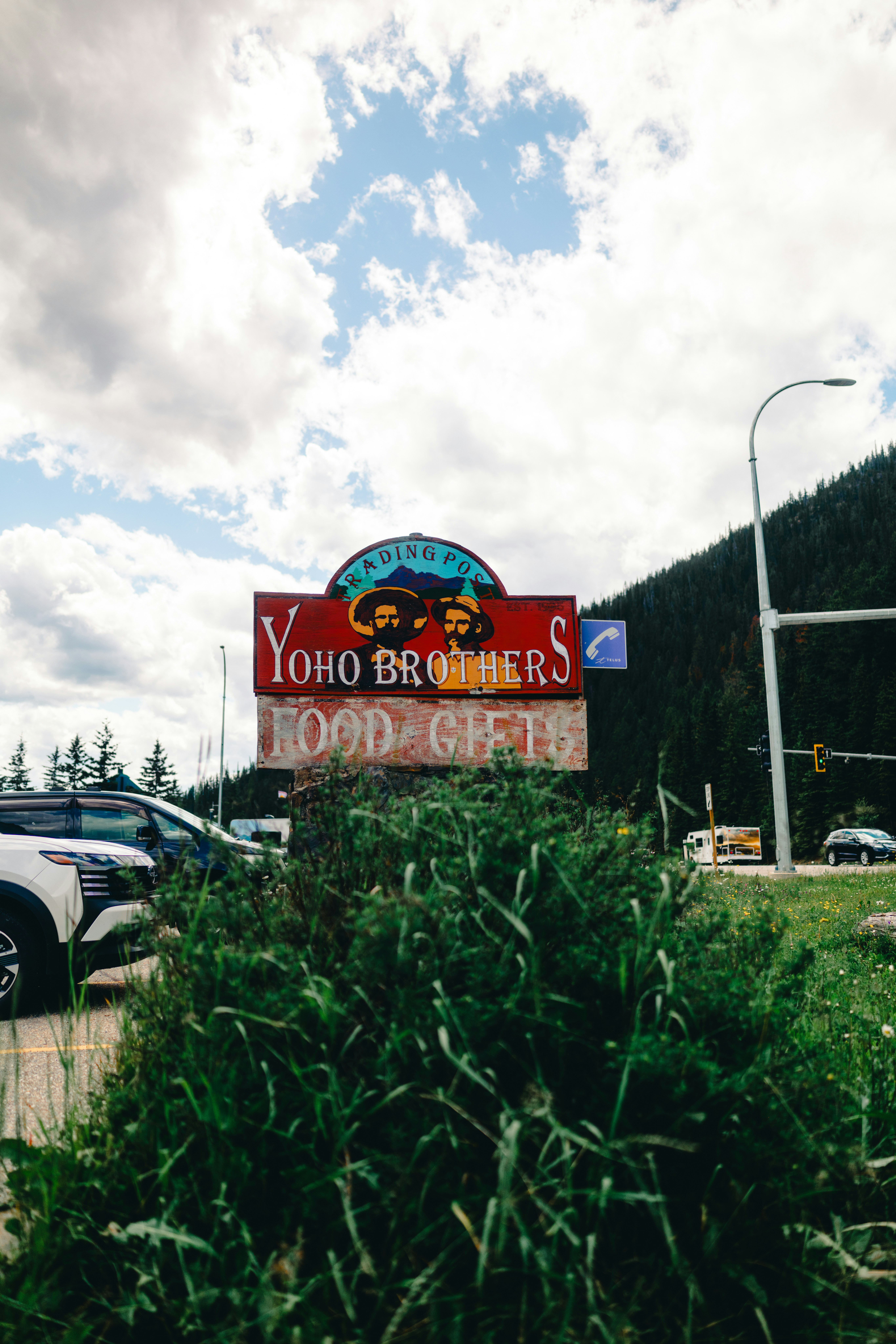Yoho Brothers Signpost by the Roadside Bloom