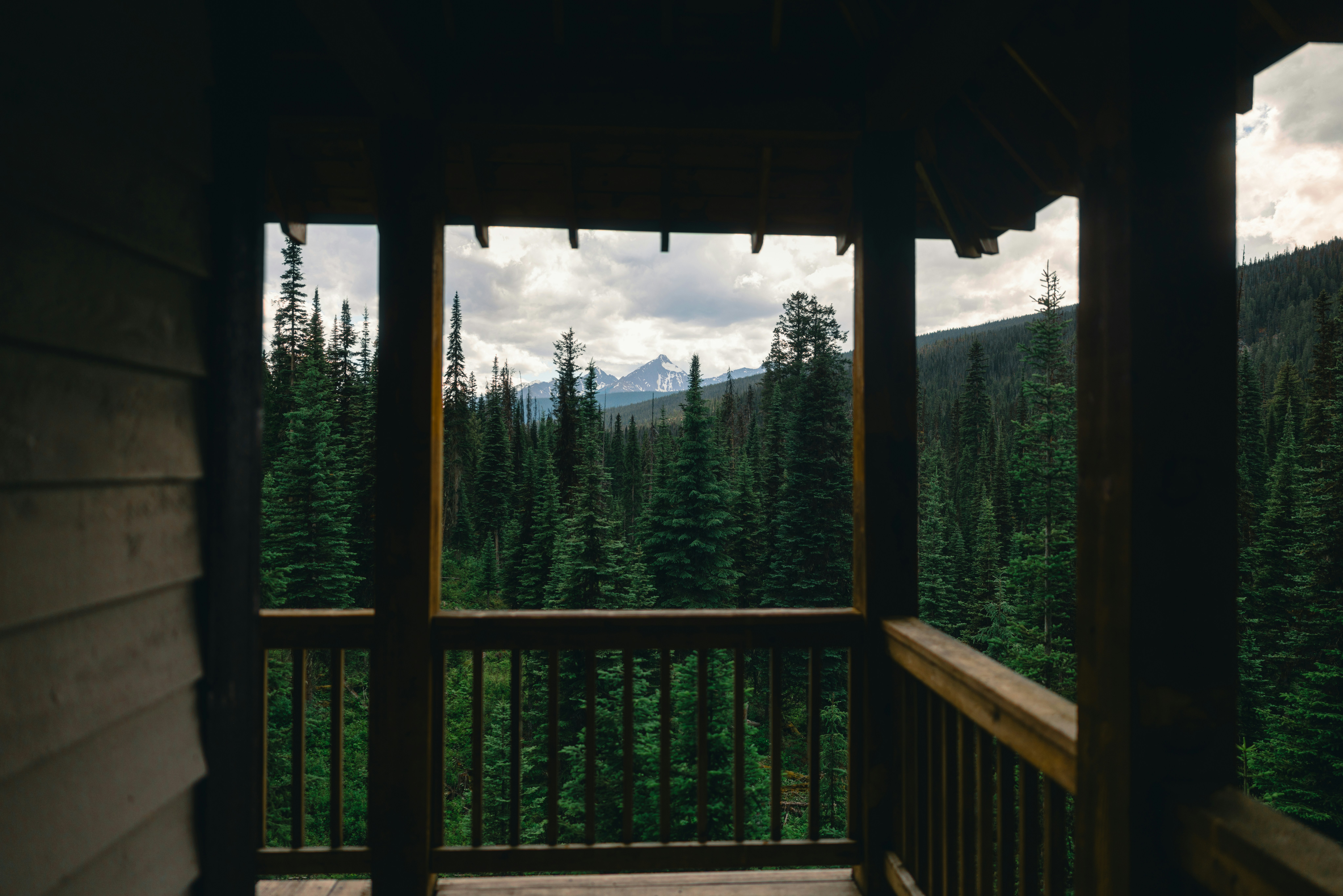 Midtown Window to the Pines