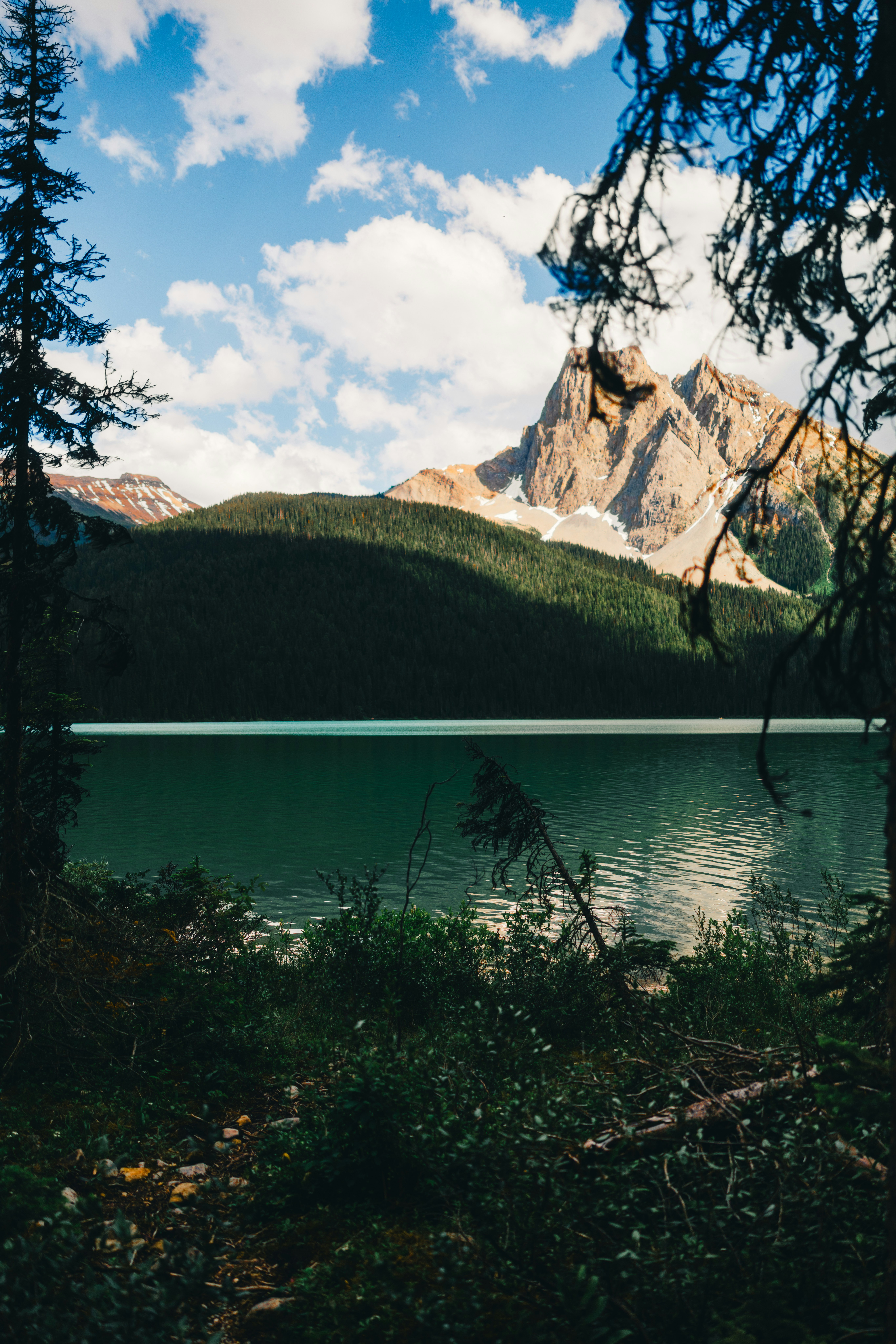Emerald Lake Circuit: Mountain Peak Framed by Pine Silhouettes