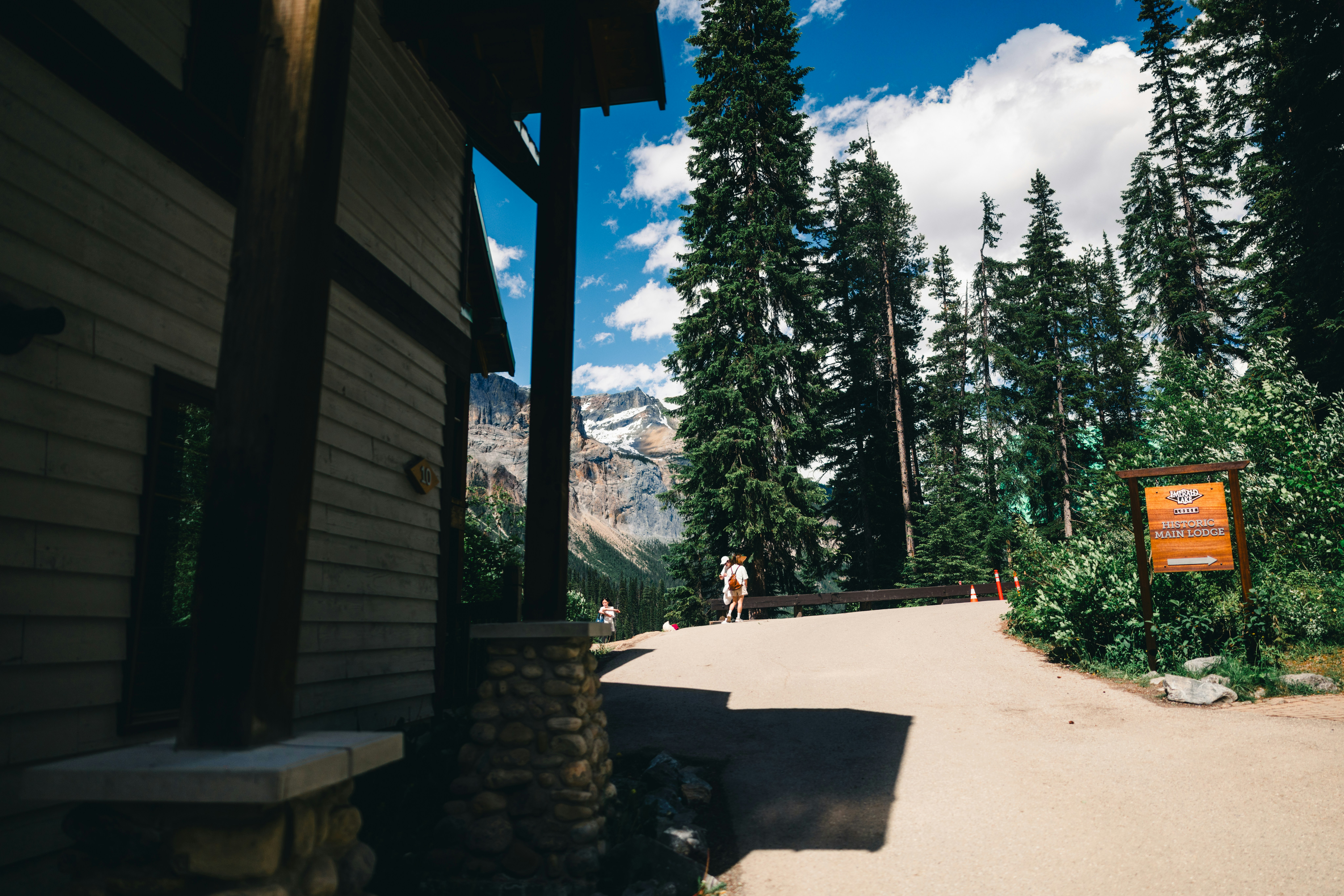 Trailhead Shadow: A Mountain Park Entrance Framed by Pines