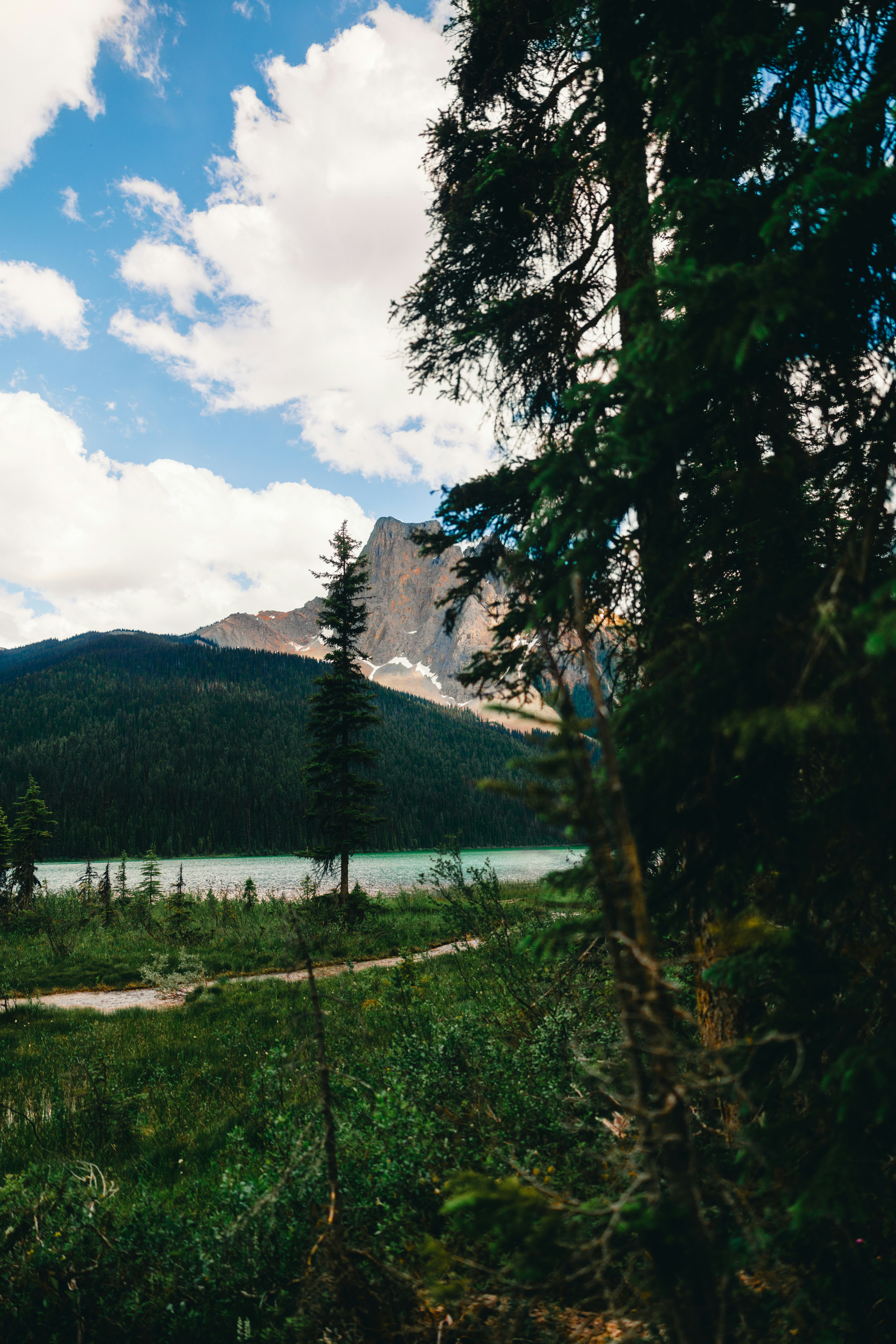 Cypress Gate to Mountain Lake