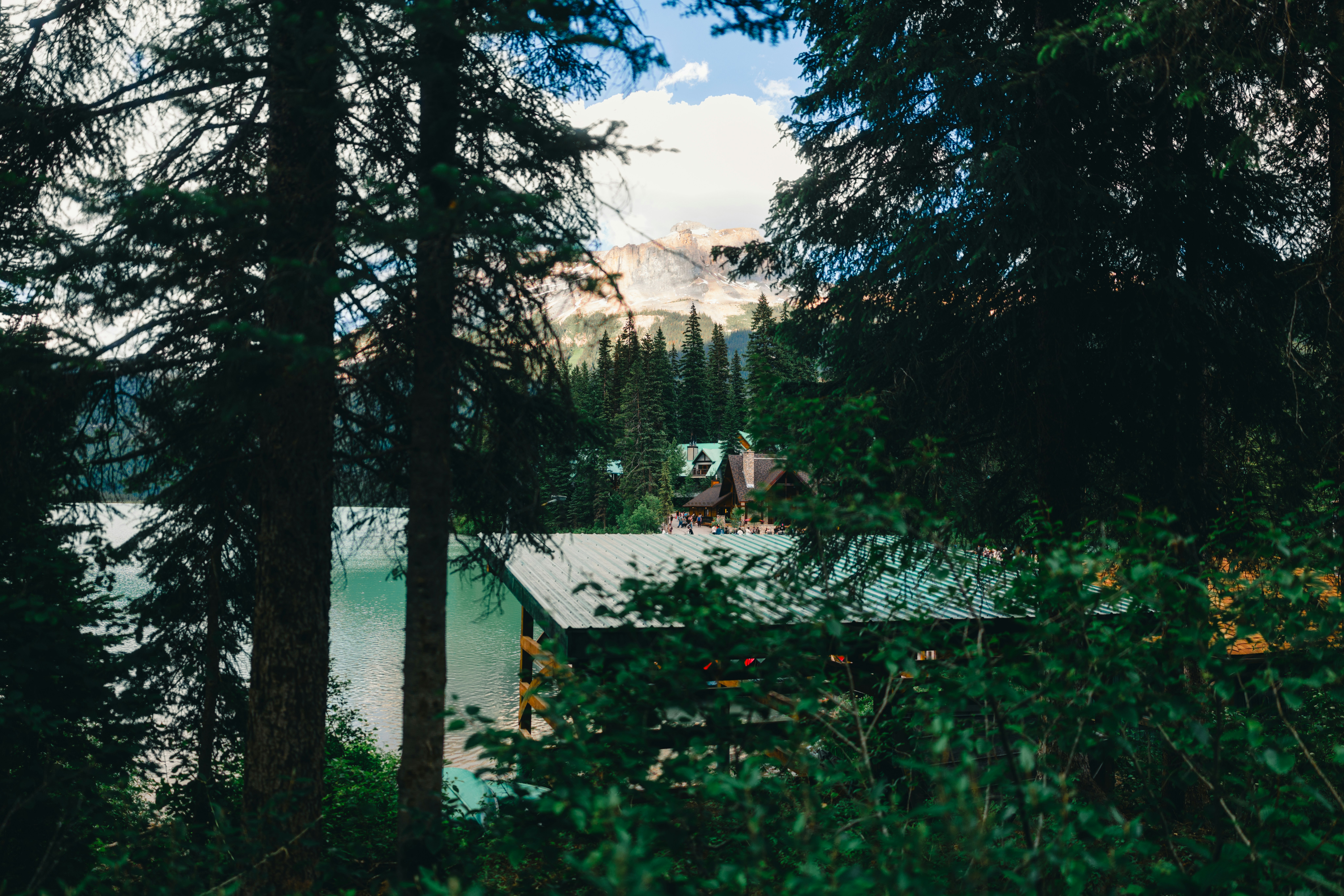 Lakeside Refuge Hidden Among Pines