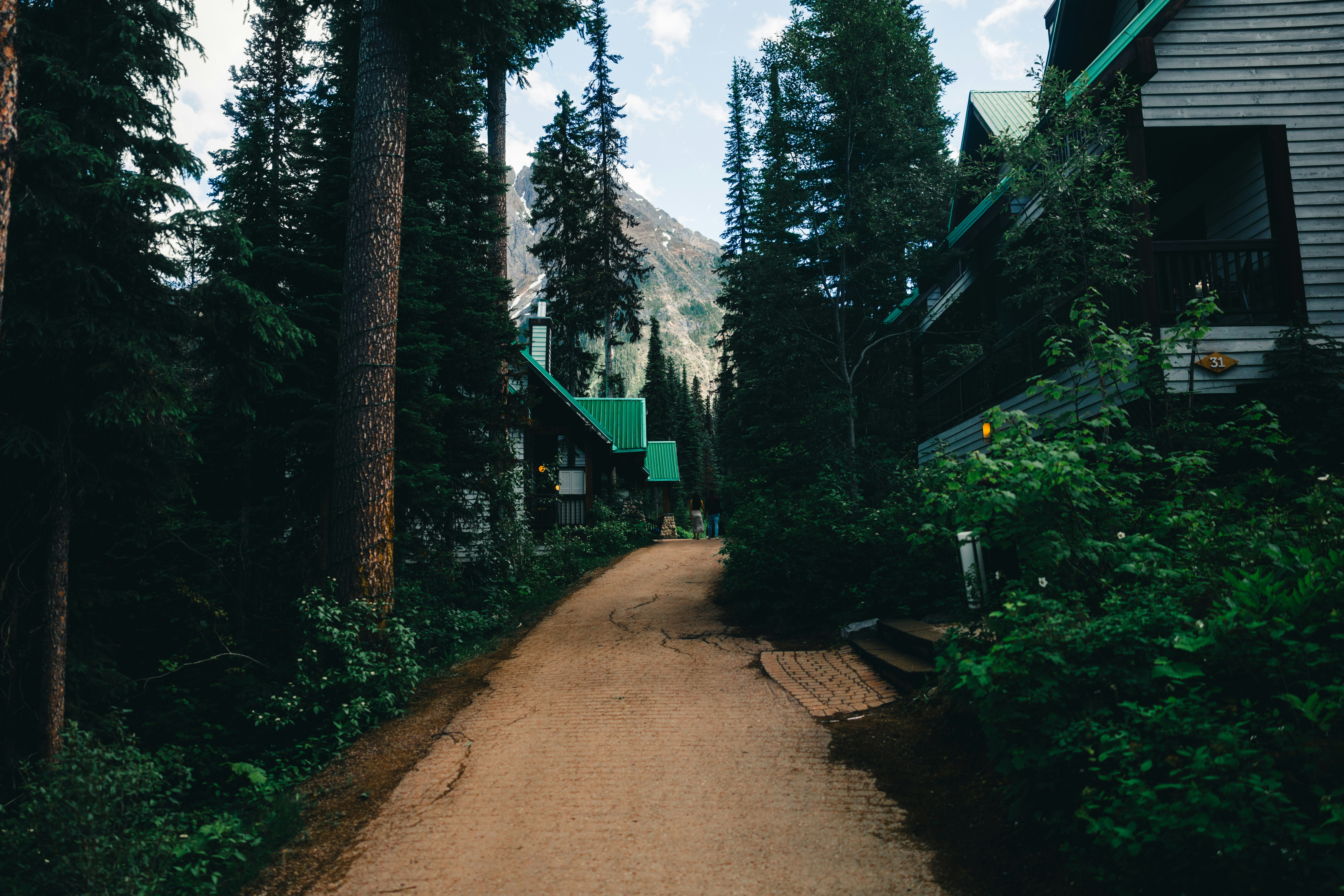 Forest Path to the Green-Angled Lodge