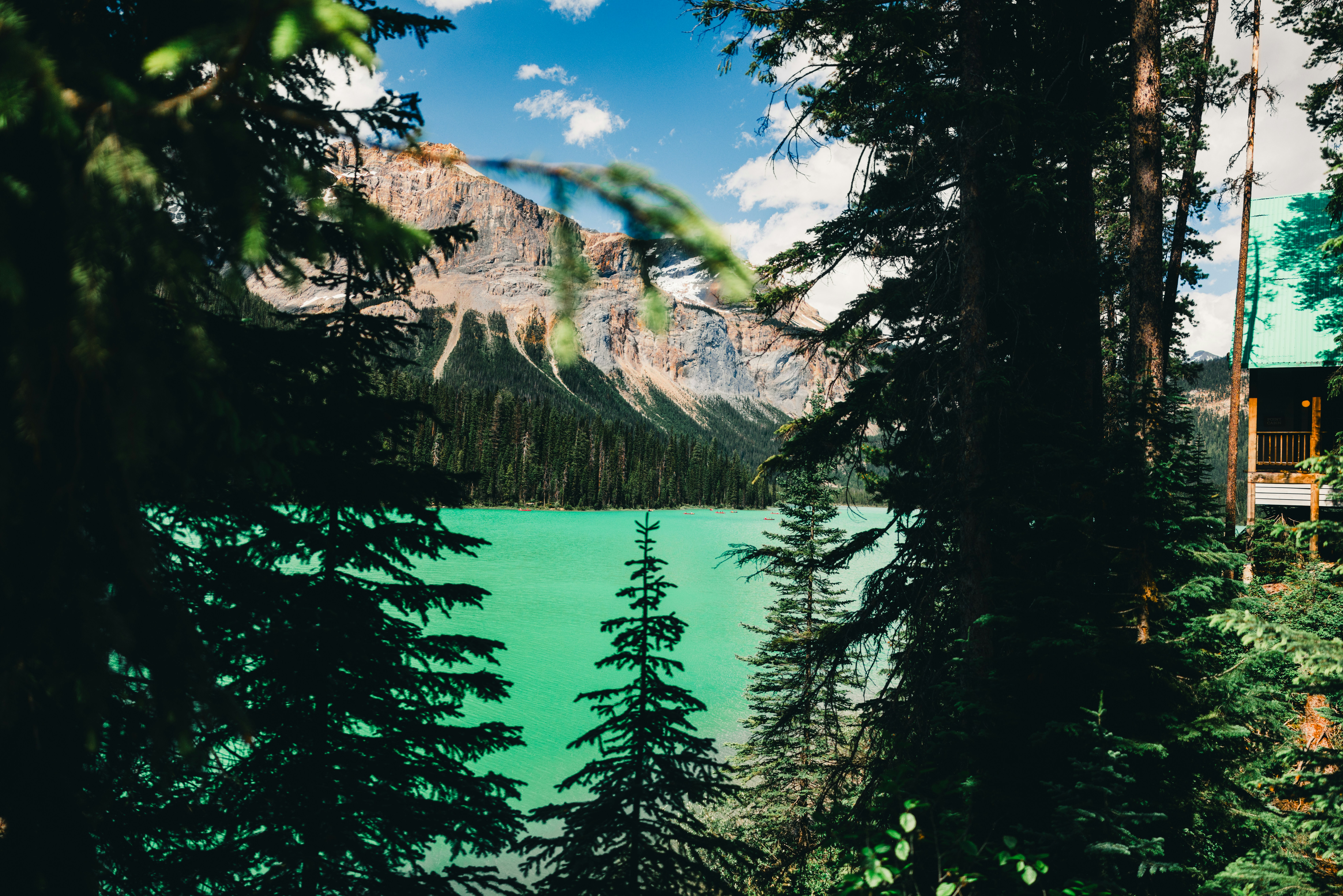 Emerald Lake Vista Through Pine Veil