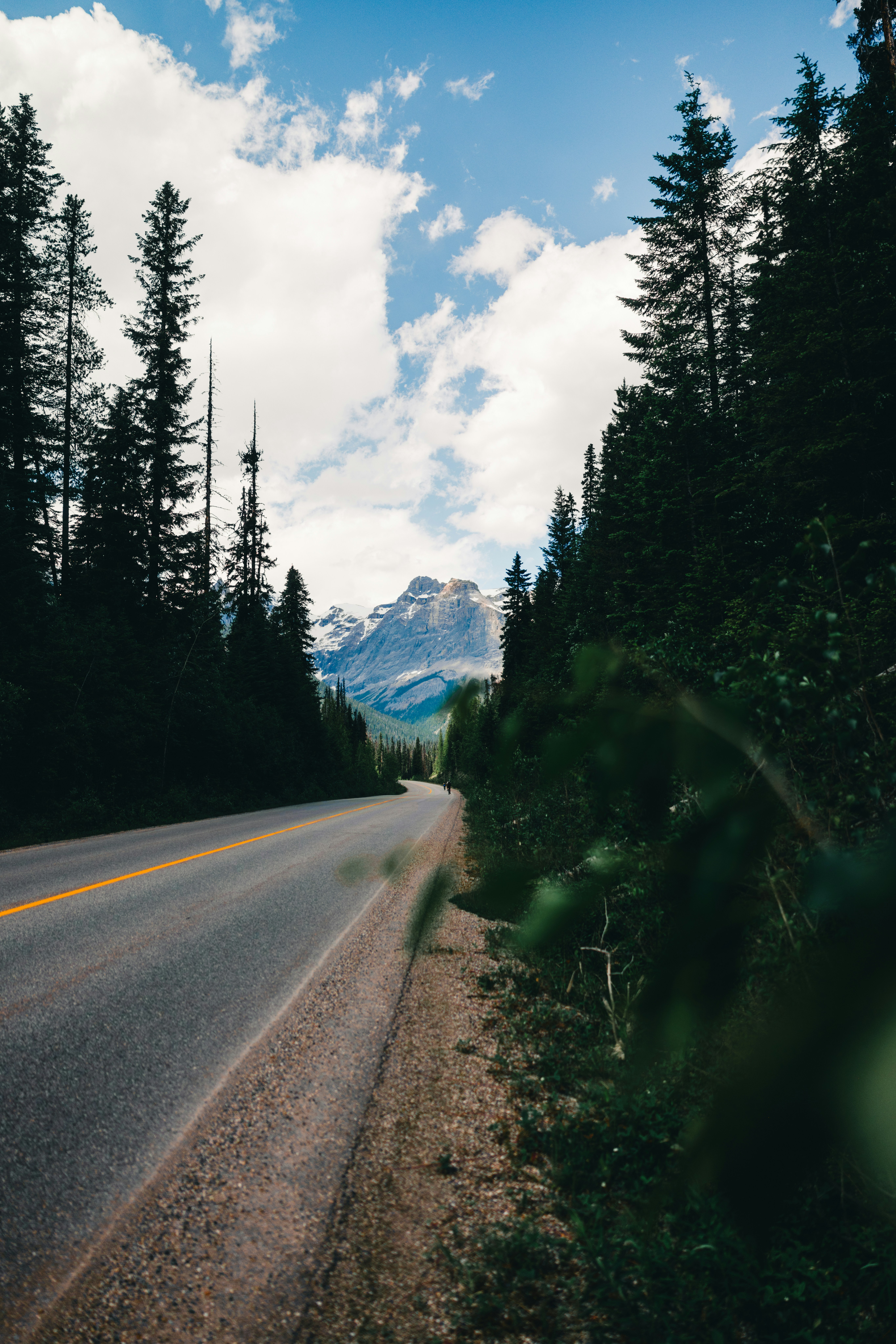 Road to the Snowcapped Peaks