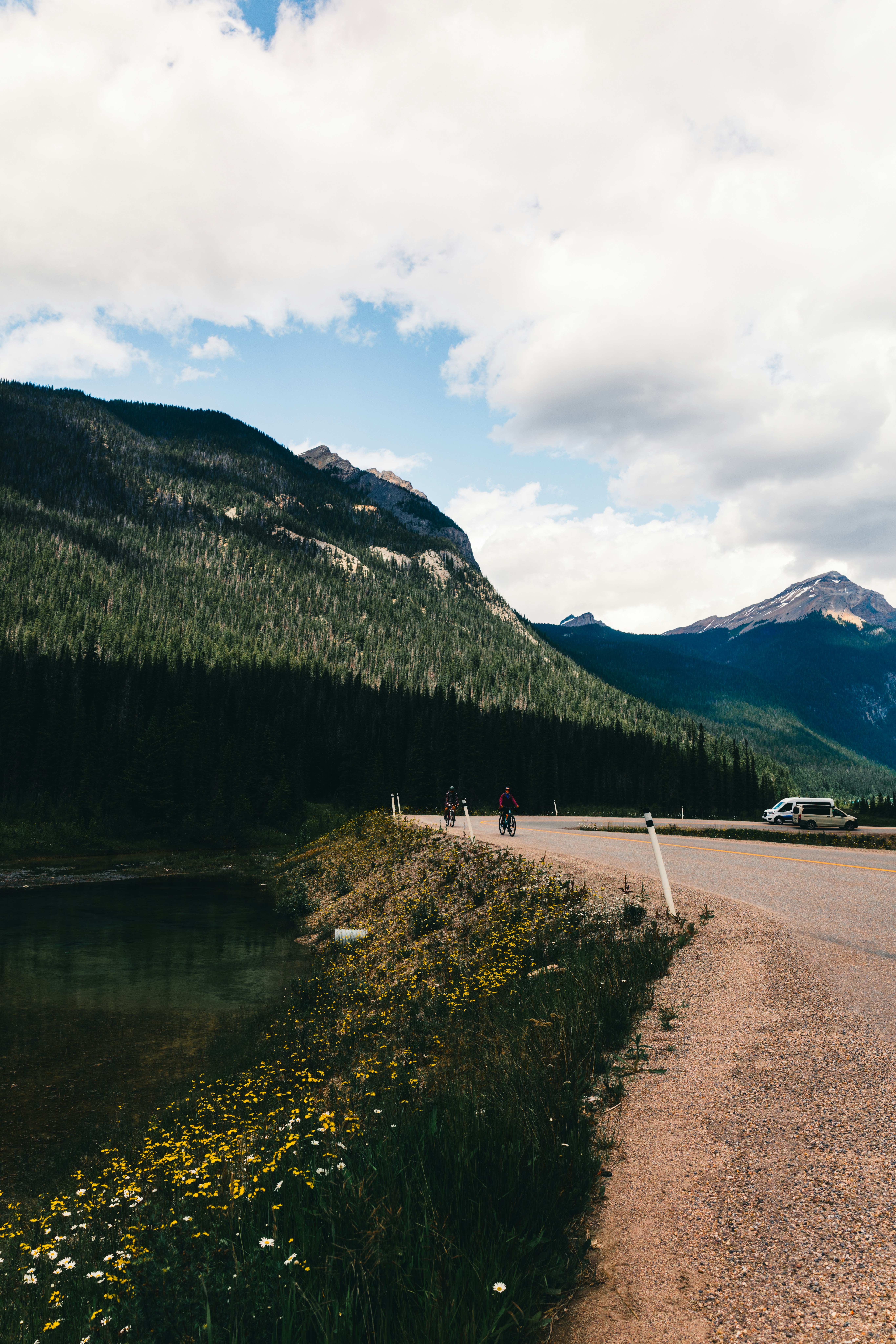 Highway to the Valley: A Mountain Road Framed by Wildflowers