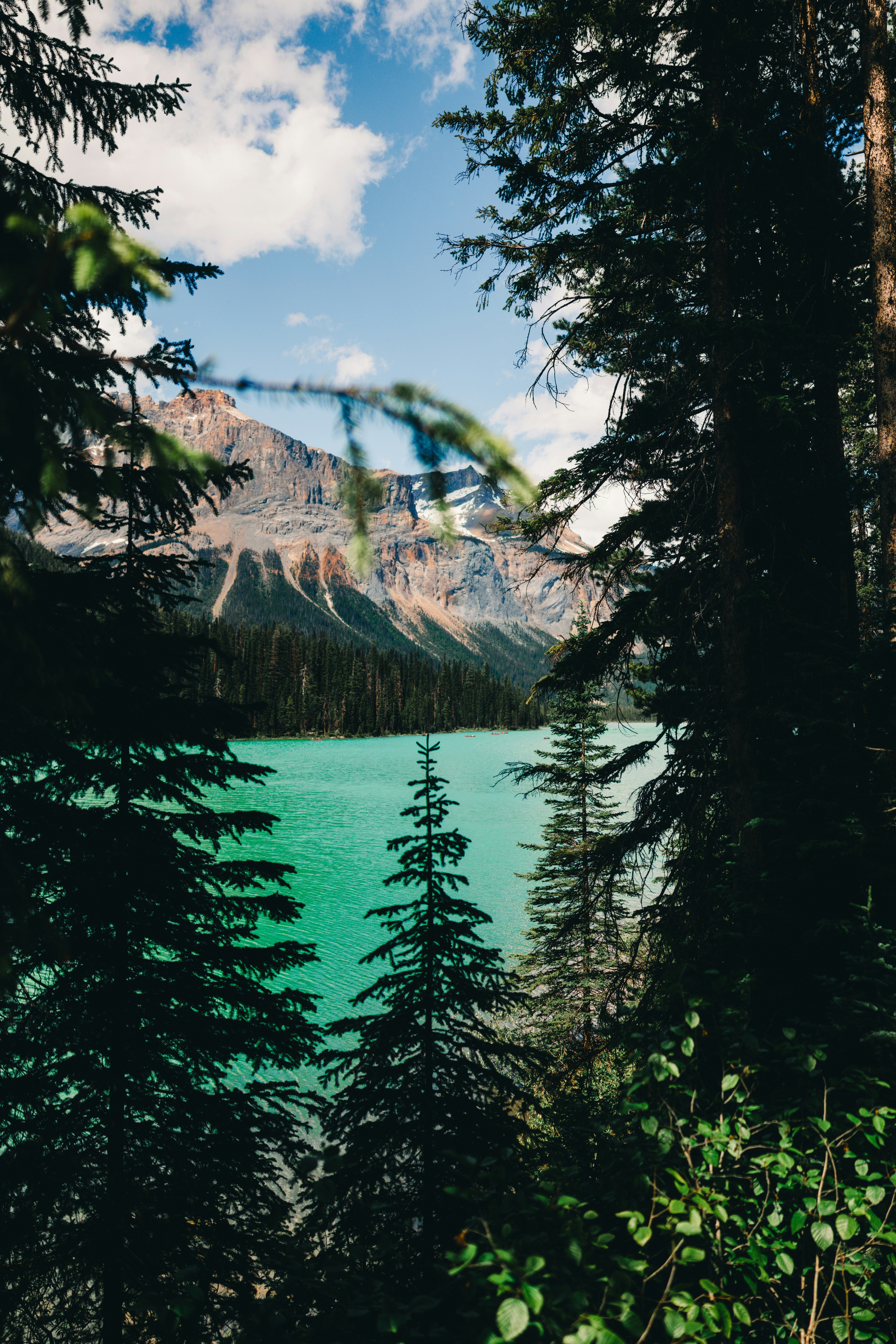 Emerald Lake Frame: Peaks, Pines, and Glacial Turquoise