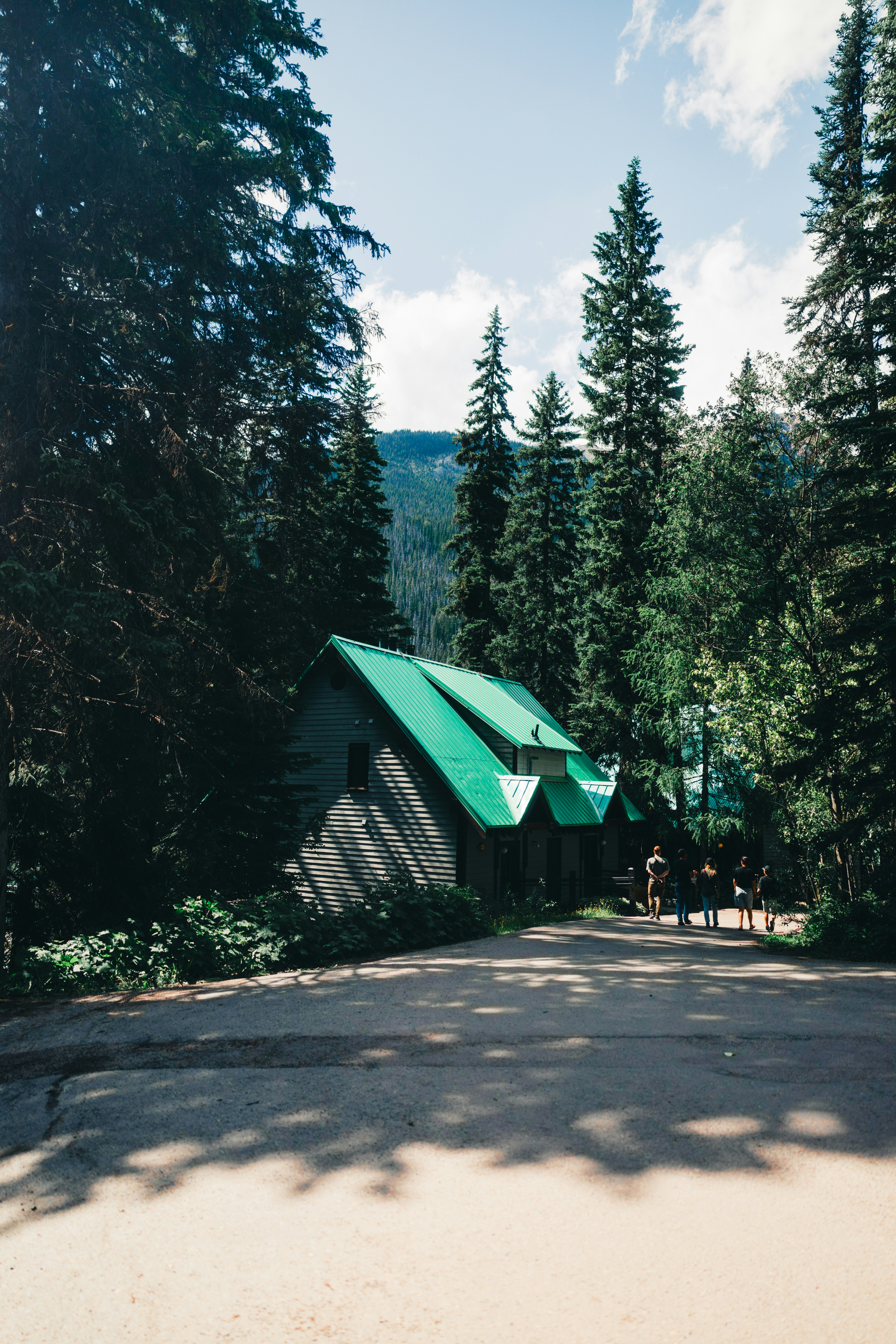 Green-roofed lodge tucked among pines on a sun-dappled forest road