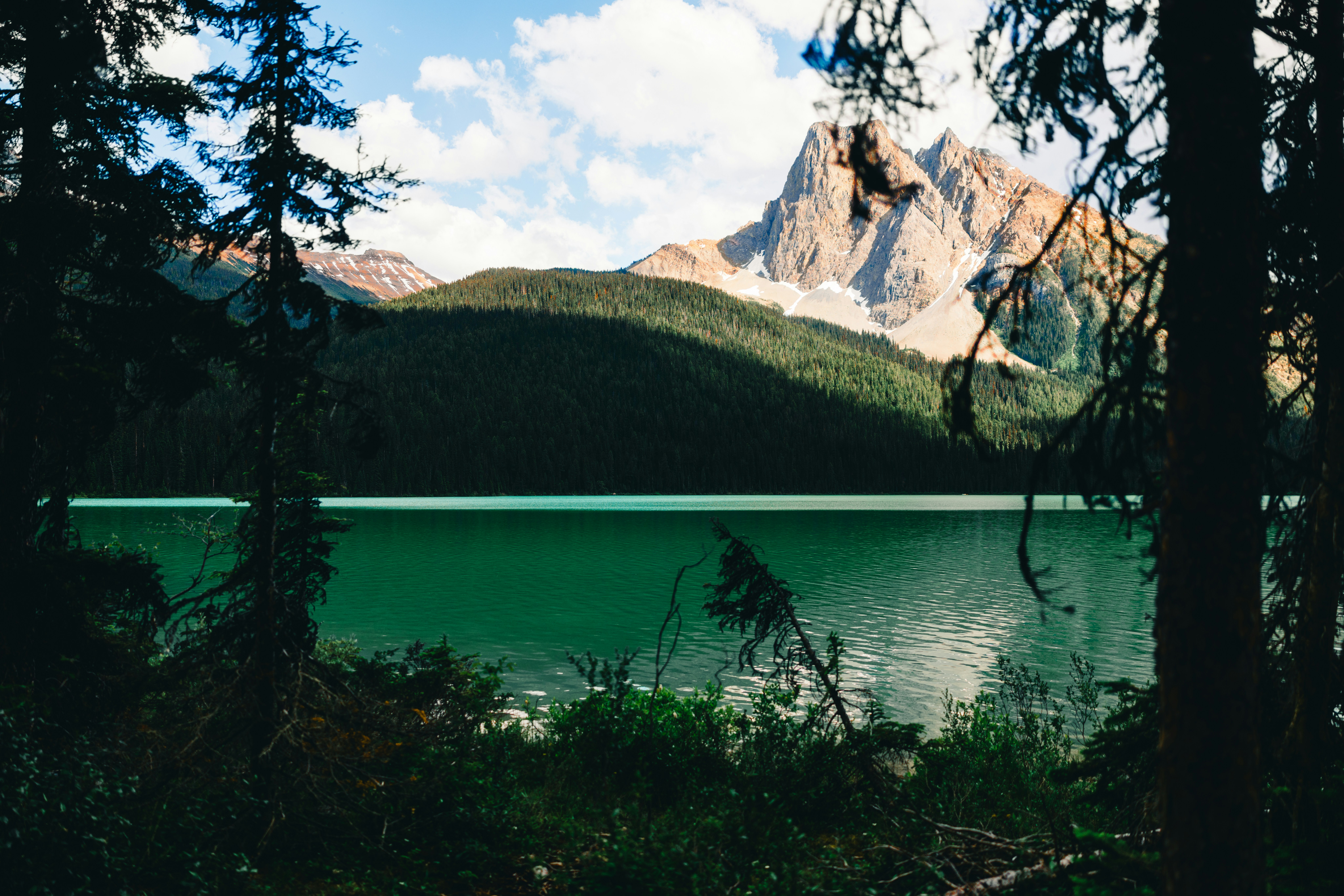 Emerald Lake and Snowy Peaks Framed by Pines