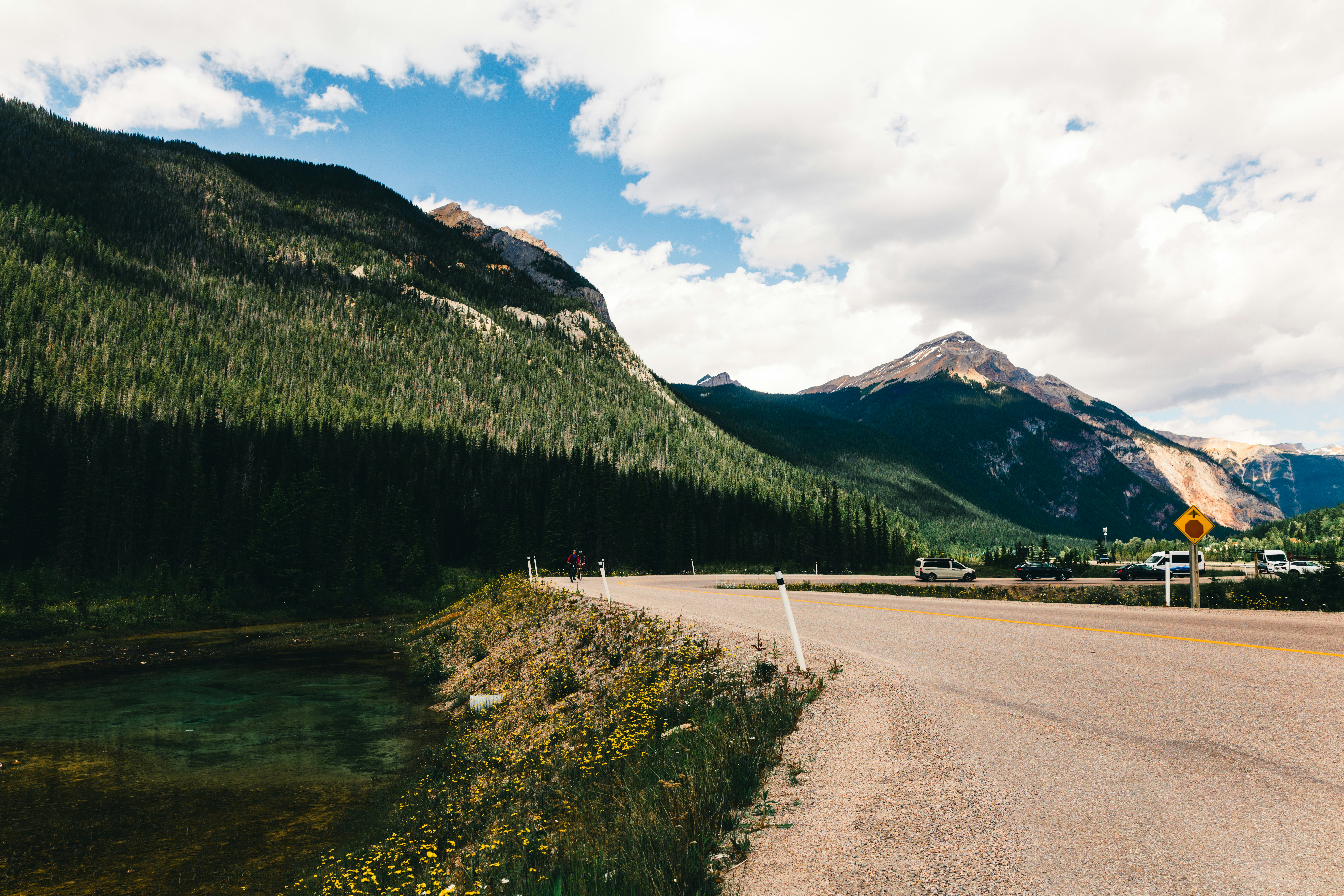 Roadside Confluence: Mountain Road Aglow