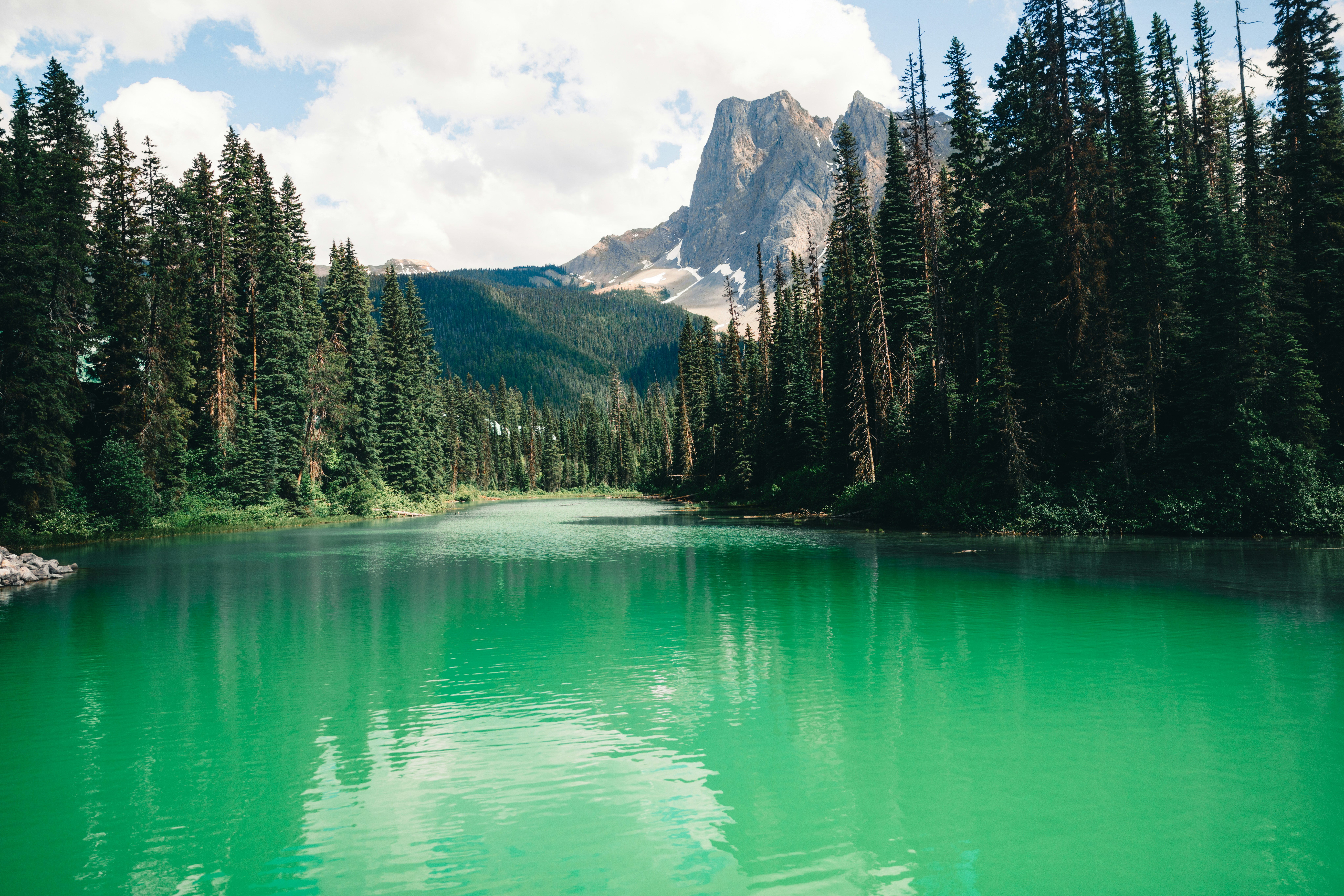 Emerald Mirror: Mountain Lake at the Forest's Edge