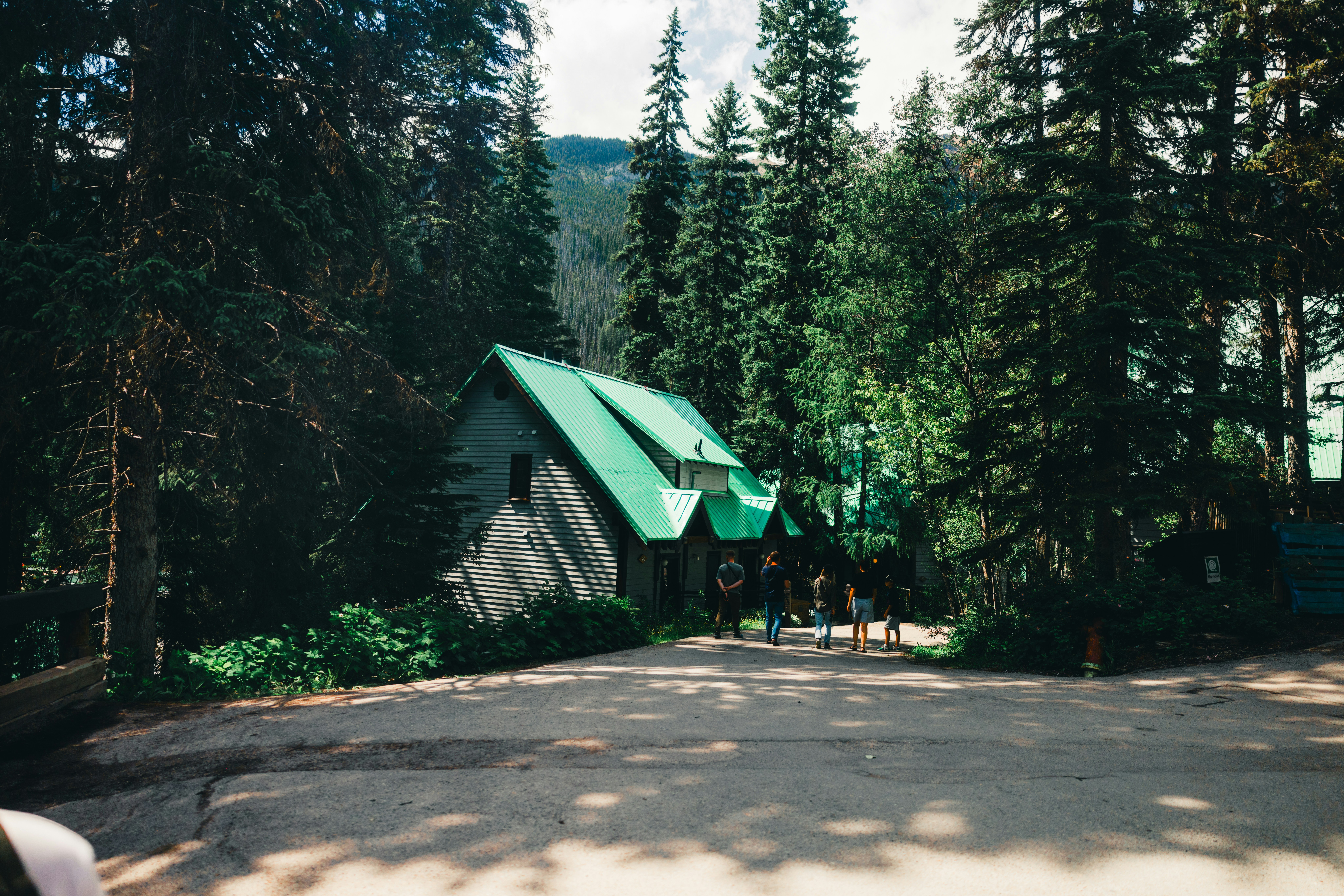 Forest Cabin Entrance at Dappled Valley