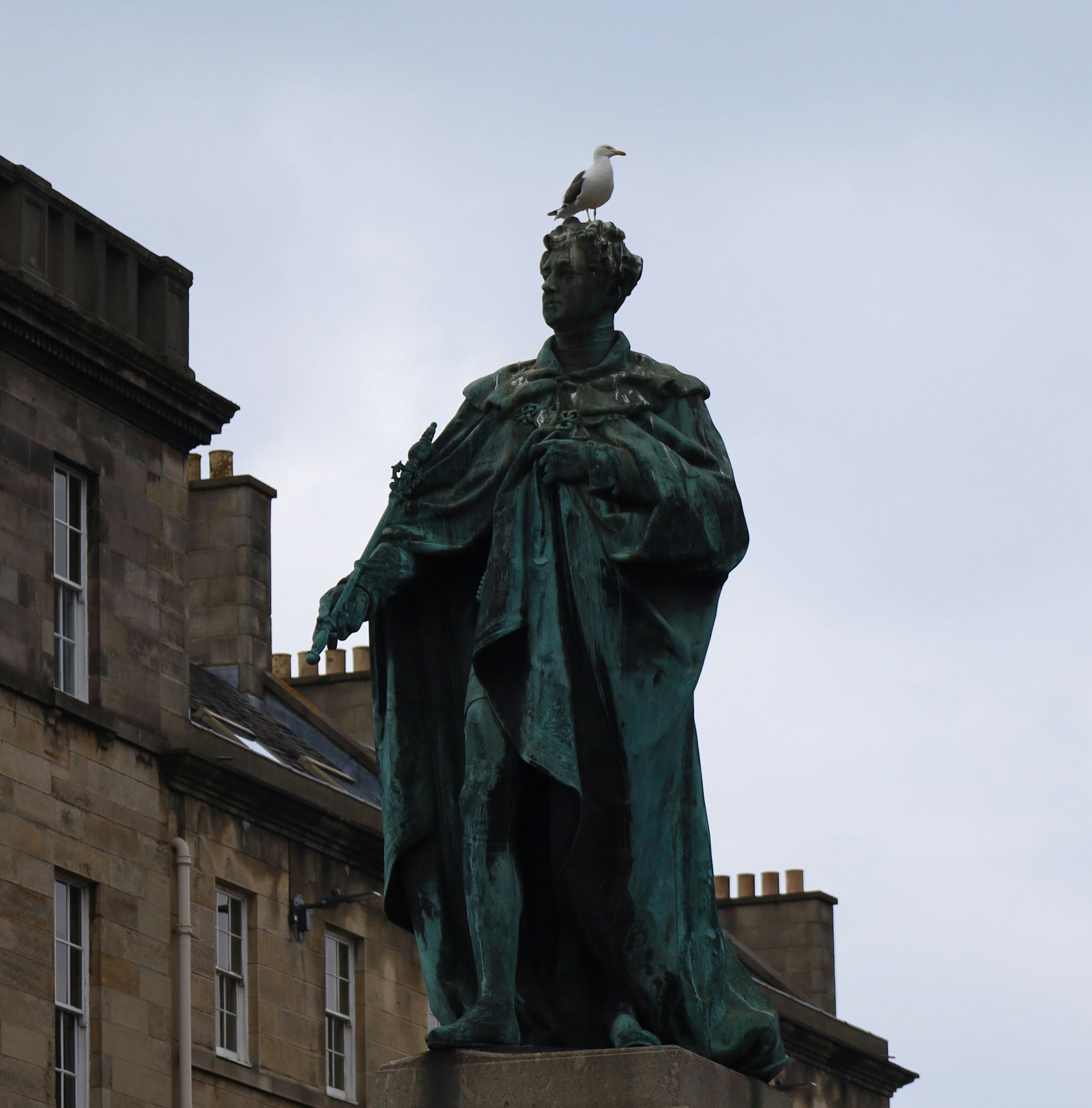 Seabird Sentinel: A Gilded Statue Crowned by a Brisk Seagull