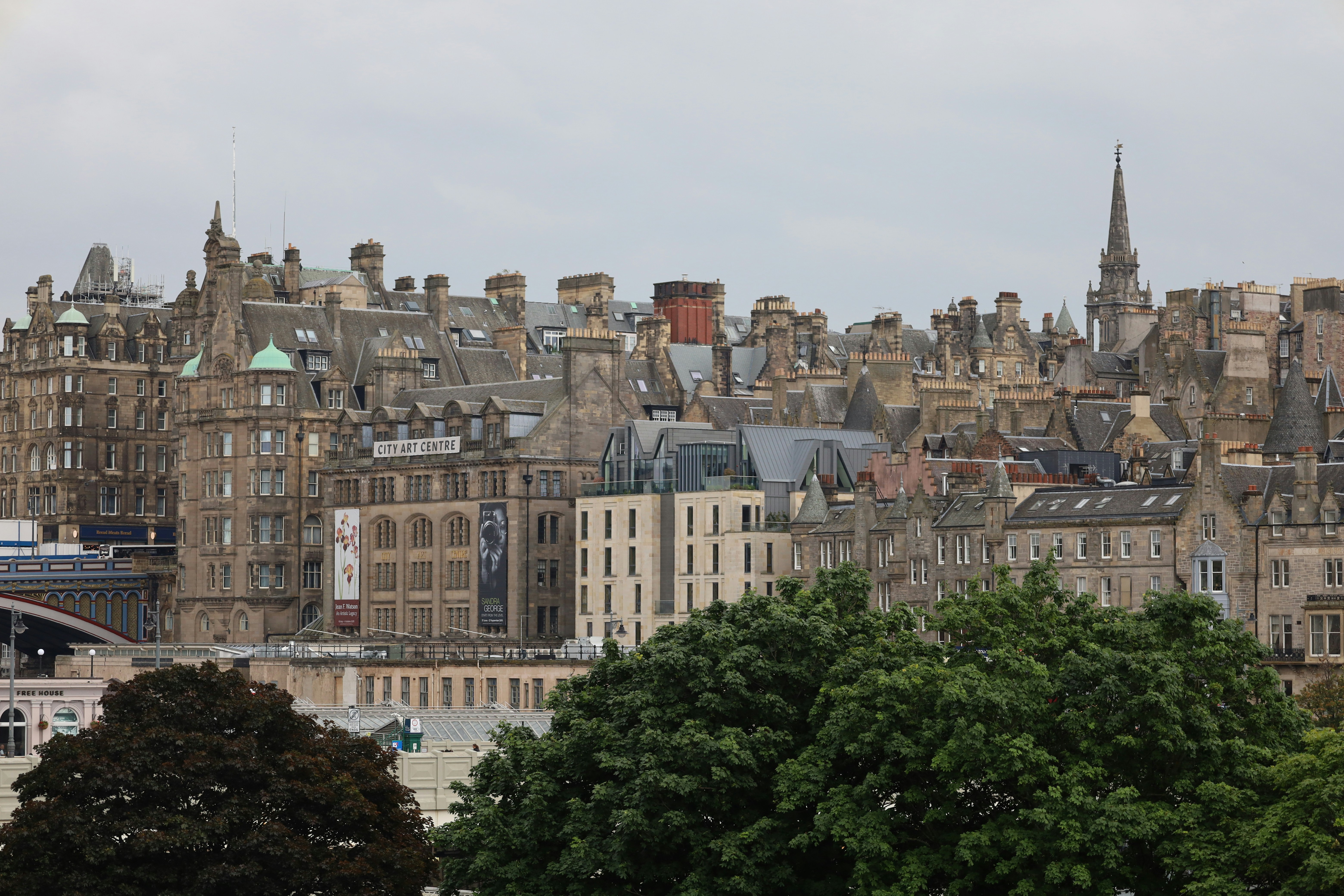 Cityscape Ridge: Historic Rooflines and Treeline Edge