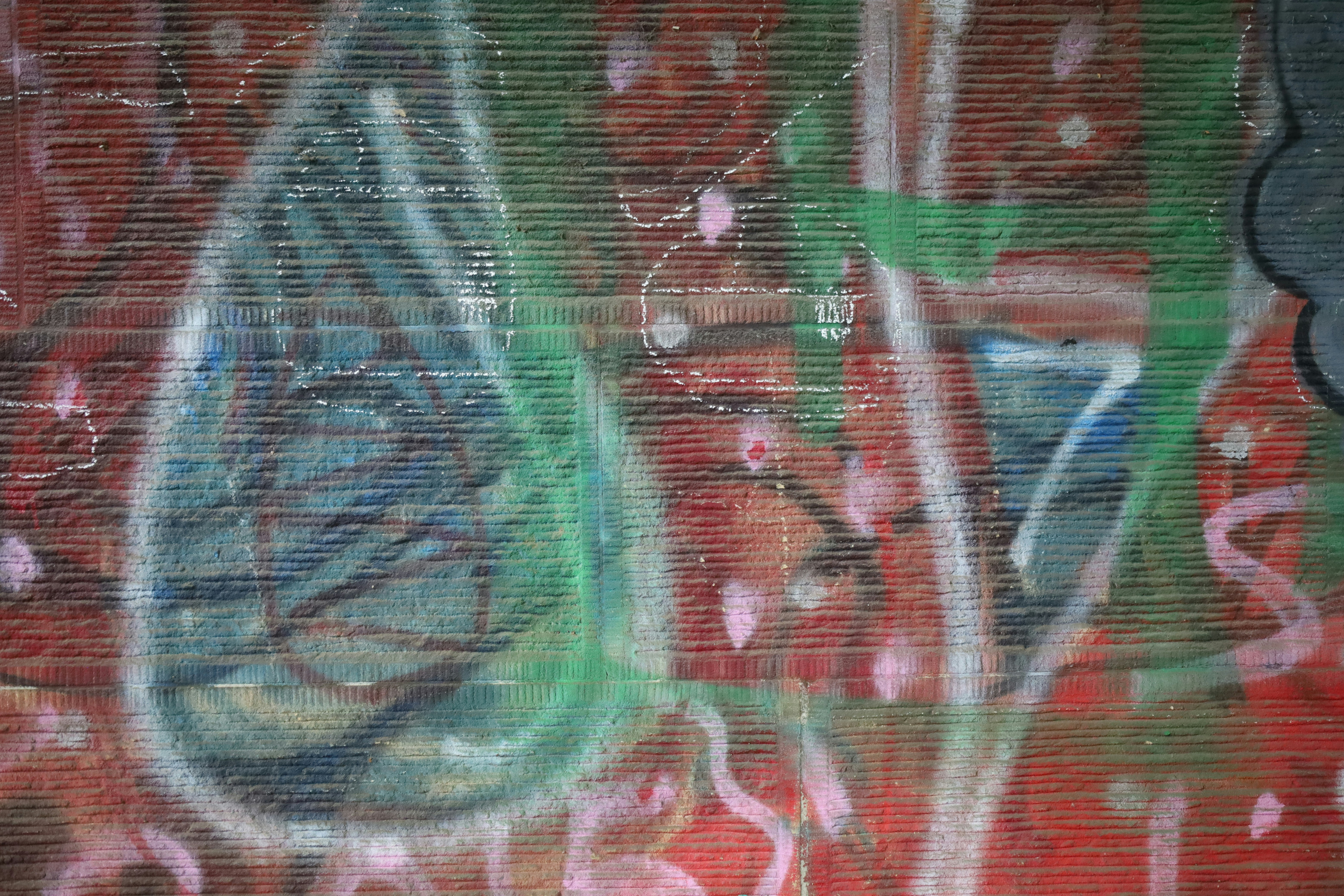 Graffiti Portrait Twined with Neon Graze