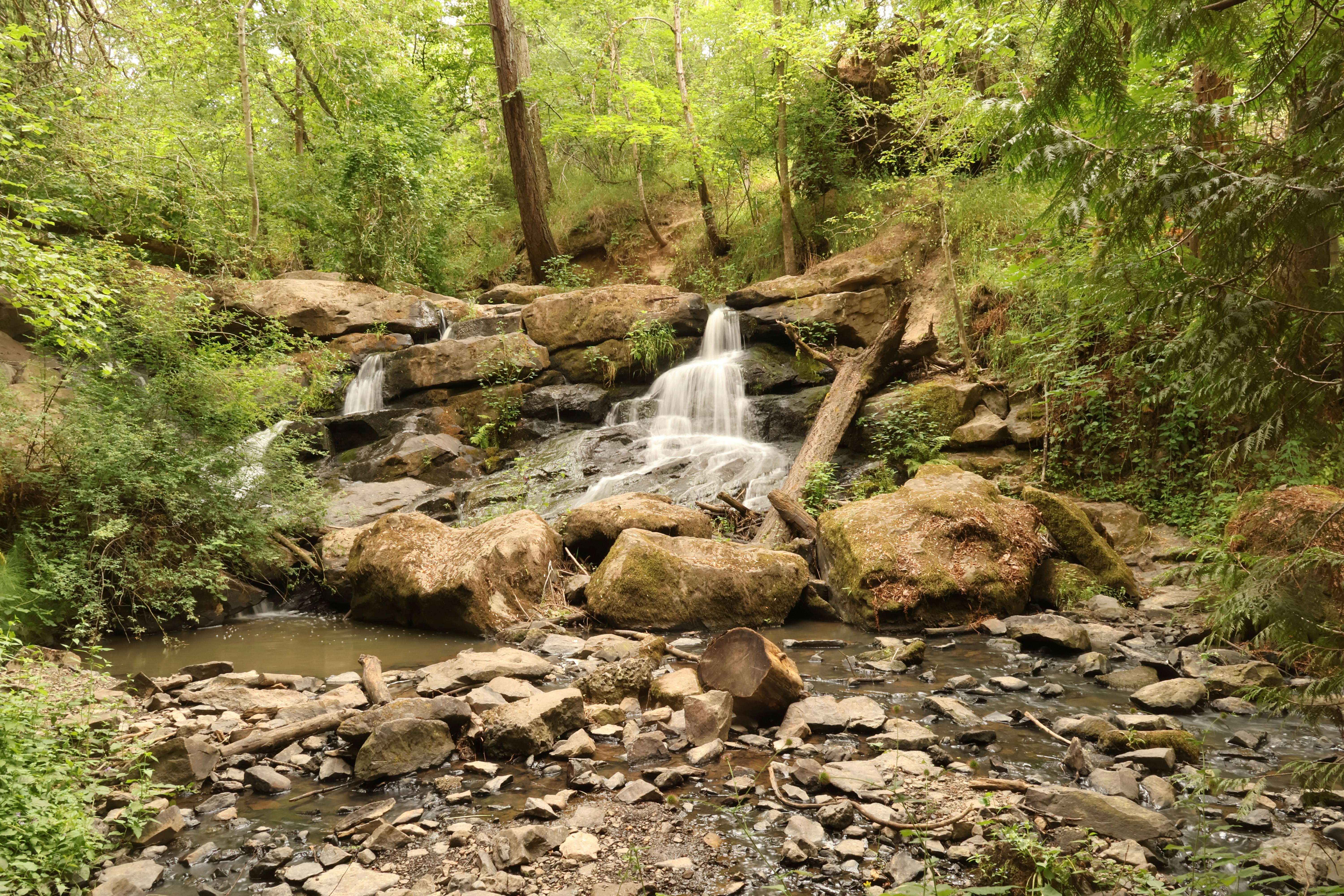 Forest Cascade Over Rocks: A Quiet Creek in Dappled Light