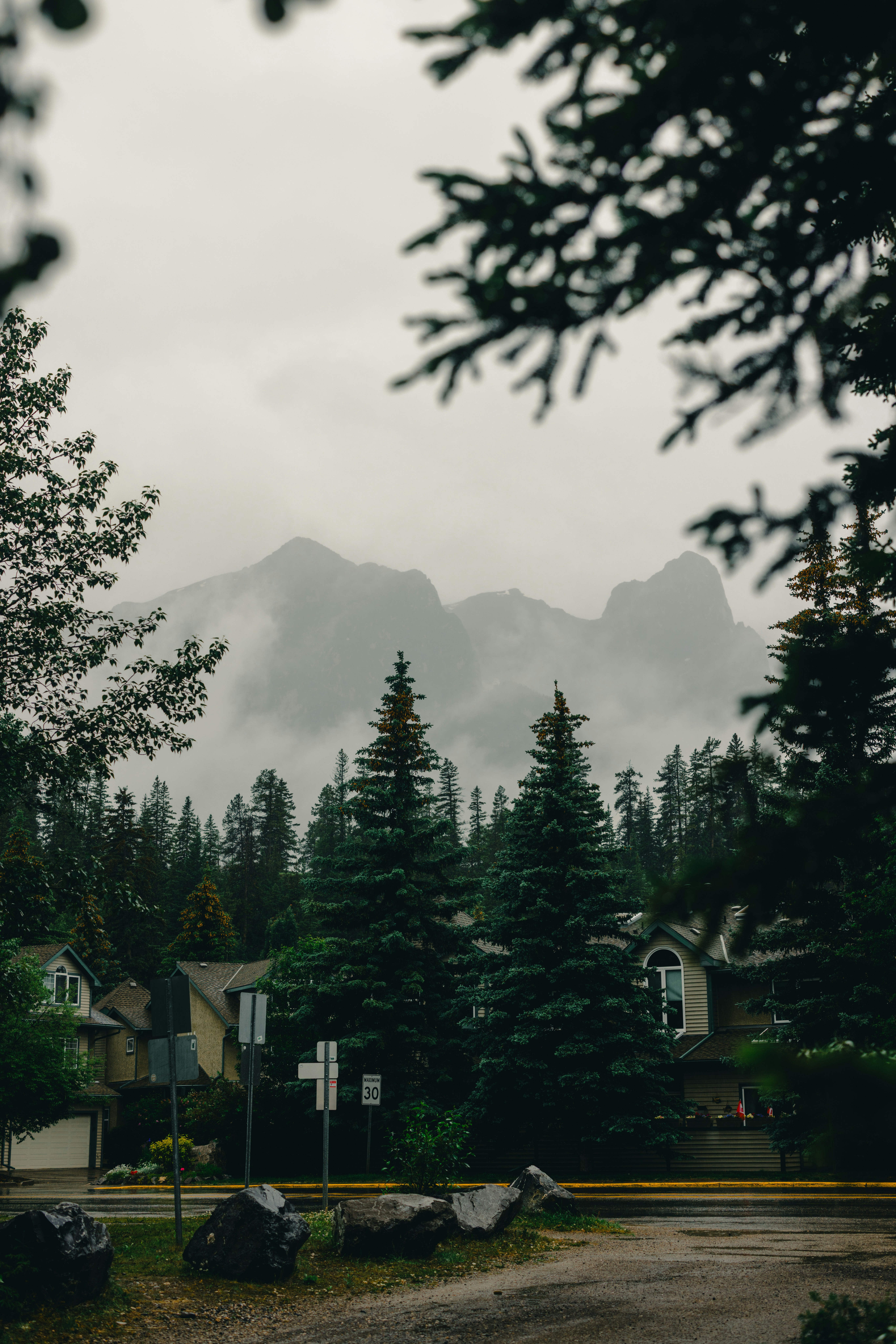 Mist over Mountain Suburb: A Quiet Village to the Pines
