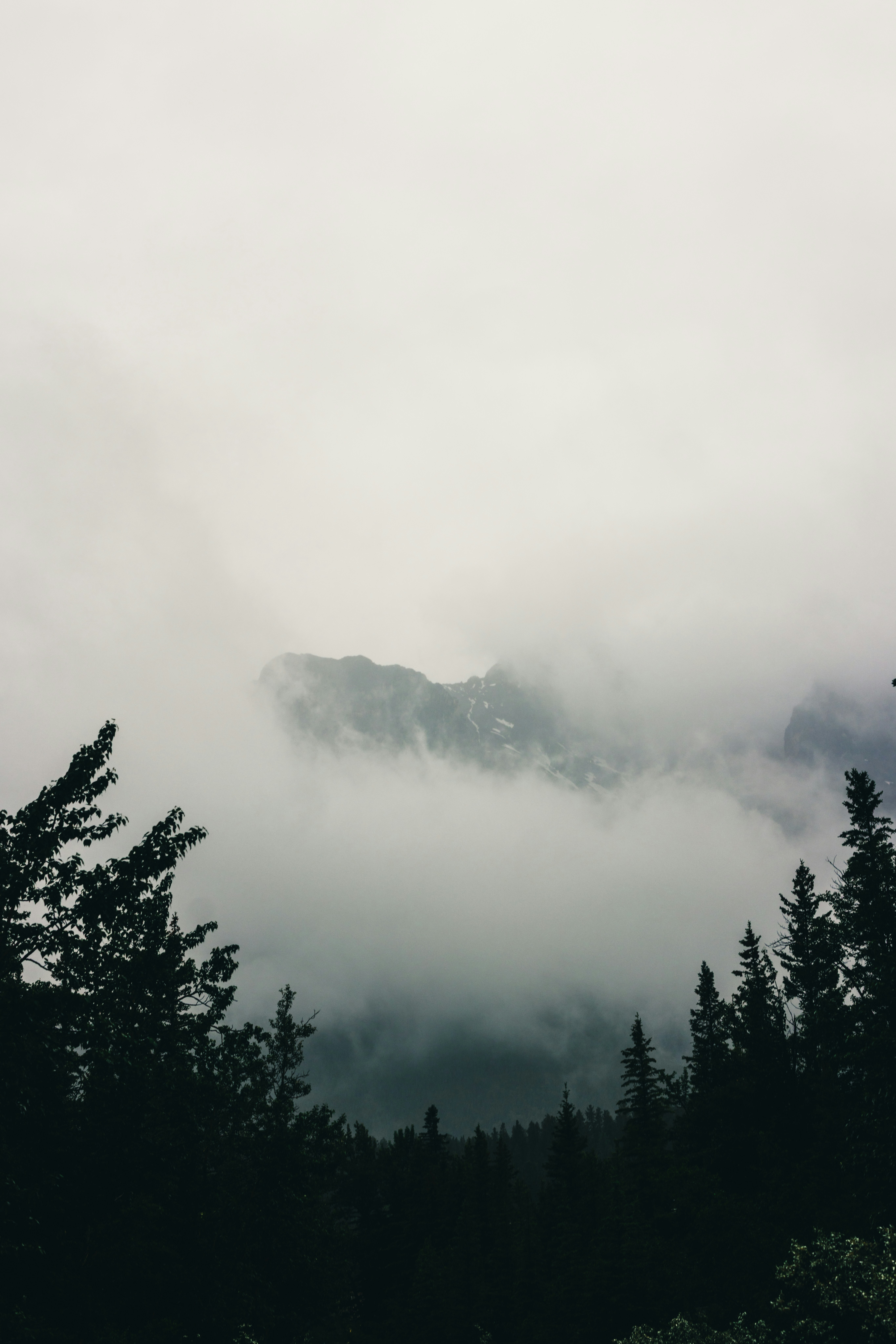 Cloud‑Crowned Peak: Forest Valley Under Mist