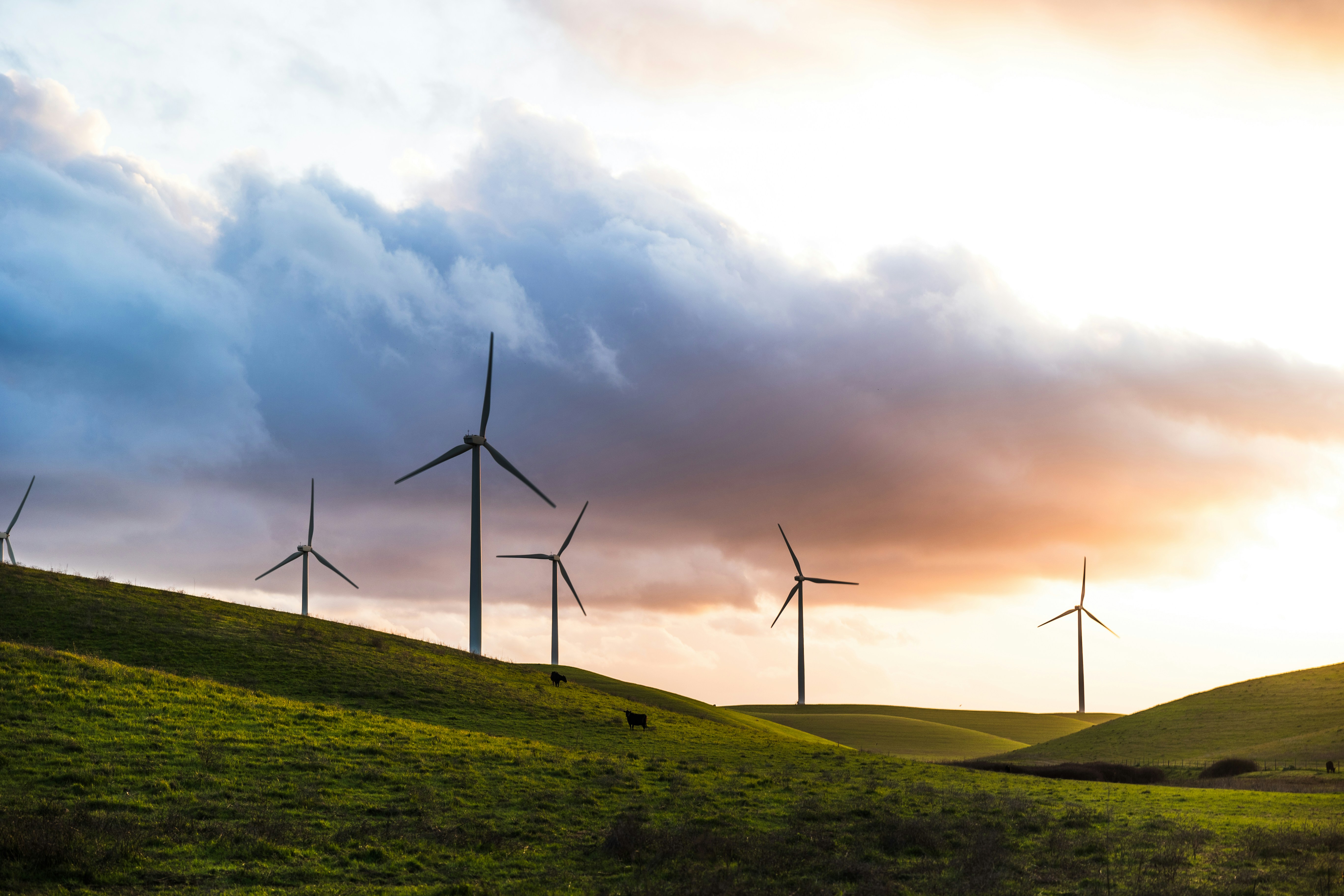 Golden Hour Wind Farm: Dunes of Light