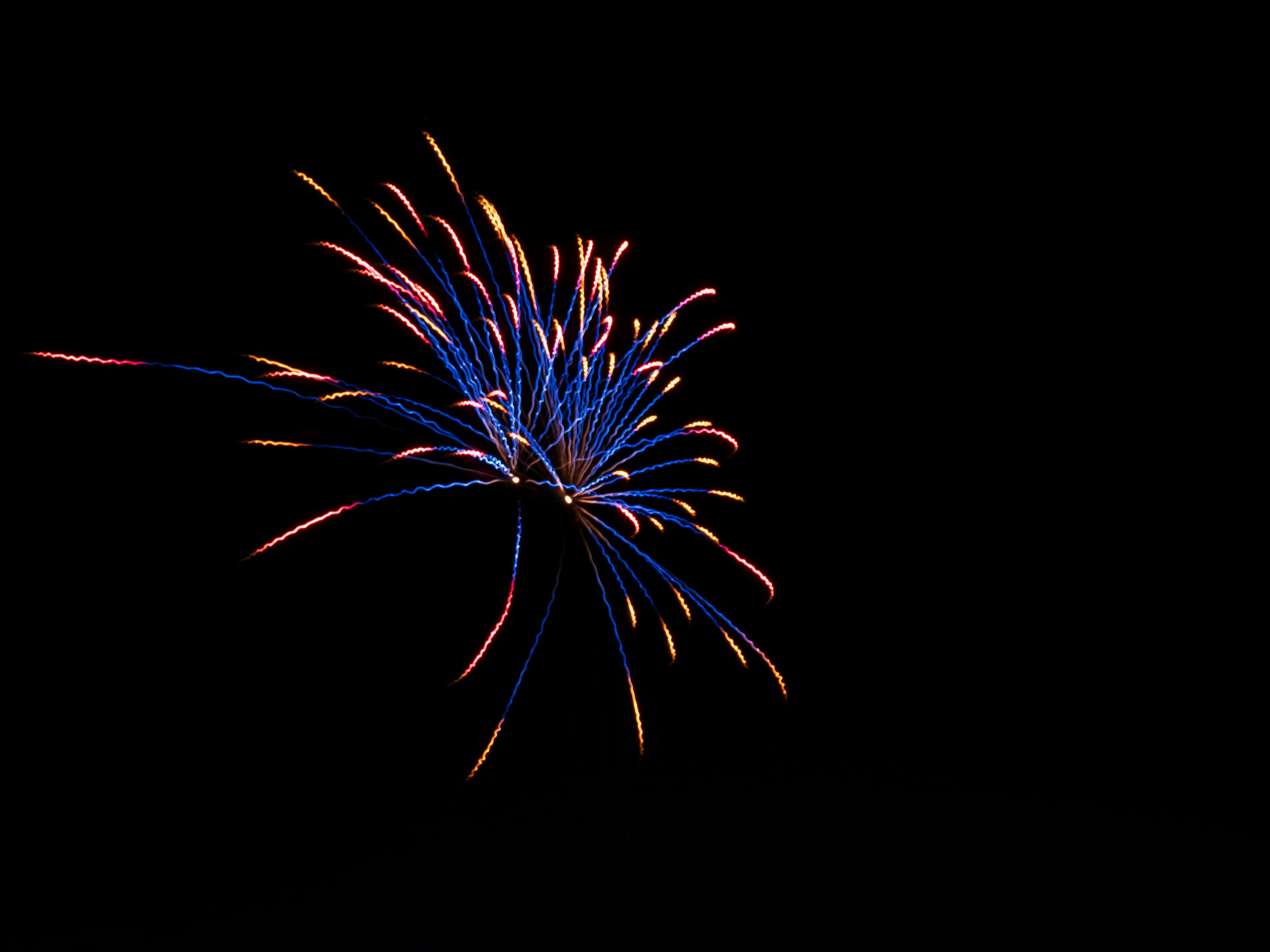 Blue-yellow Firework Bloom Against Night Sky