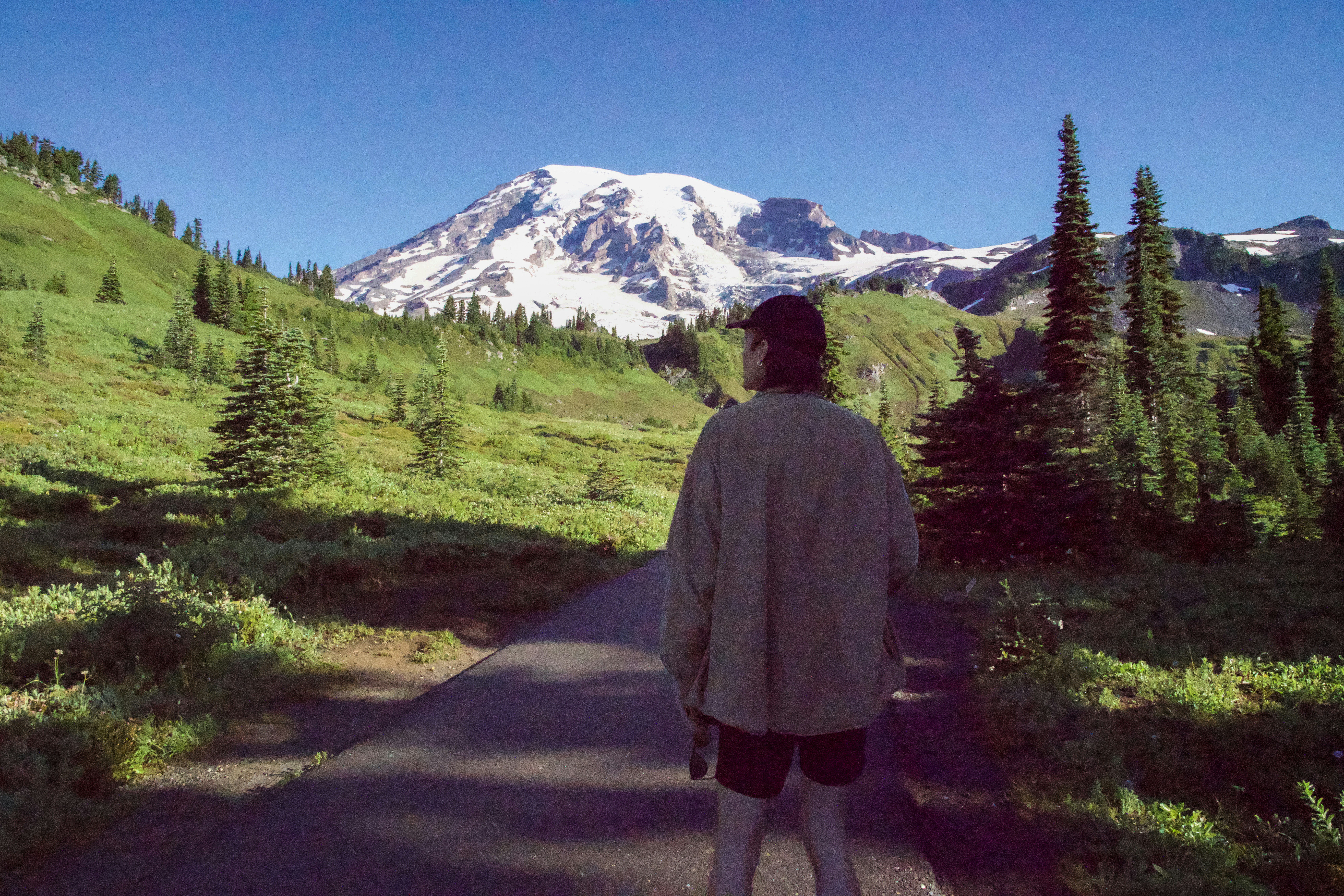 Footpath to the Snow-Capped Peak