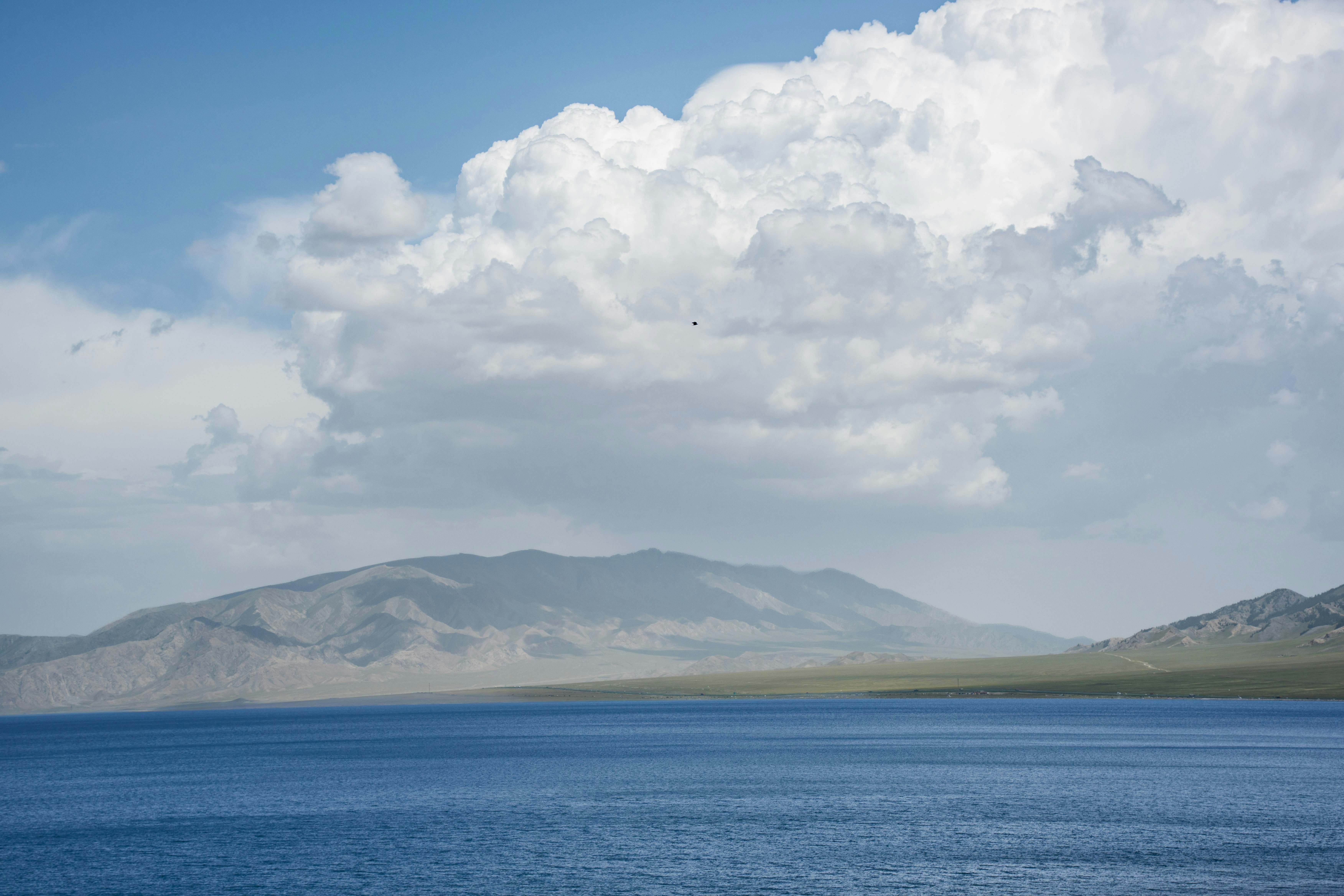 Quiet Horizon: Sea, Shore, and Distant Hills Under Soft Cloudscape